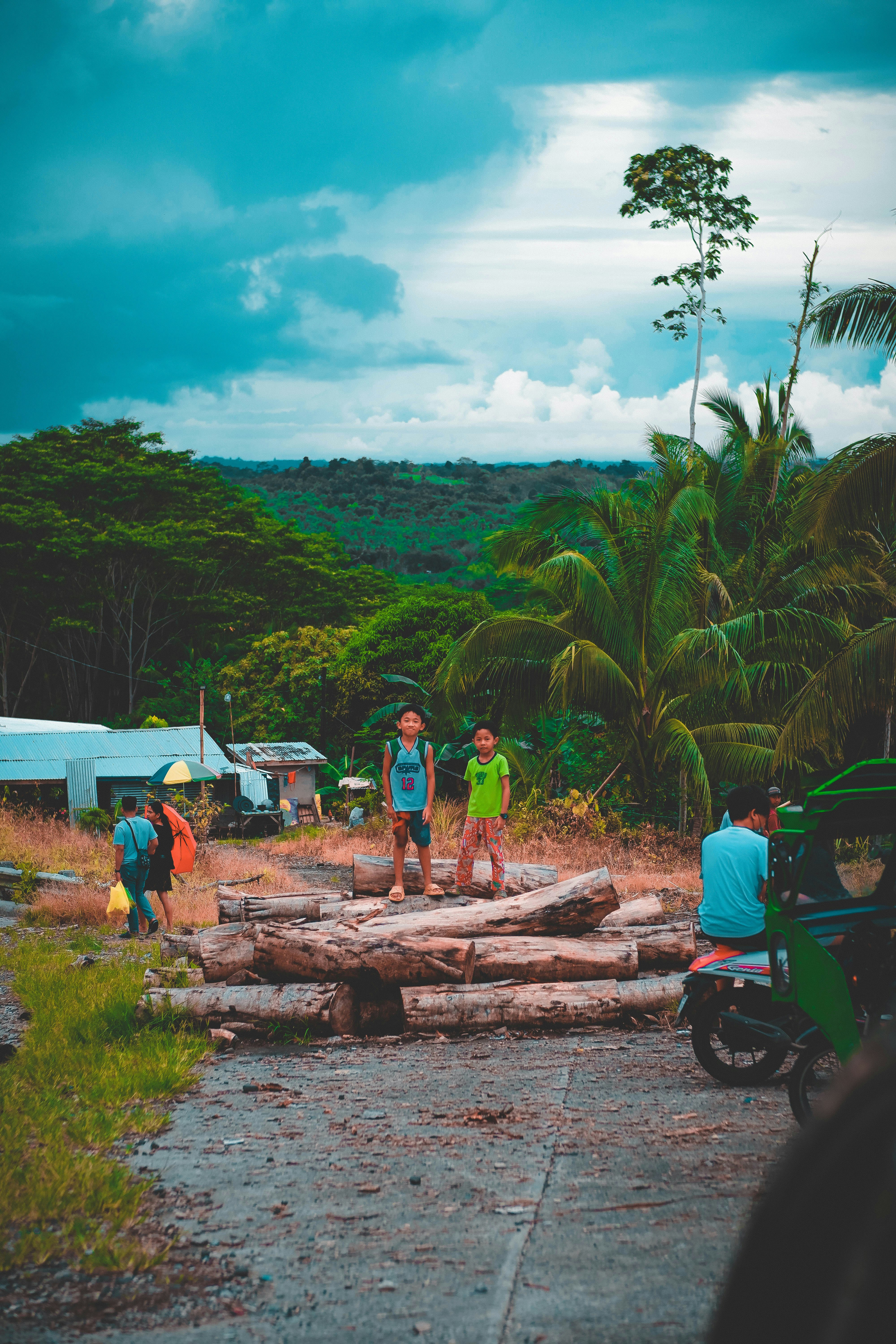 Two Children Balancing on a Log Pile Under a Lush Tropical Canopy
