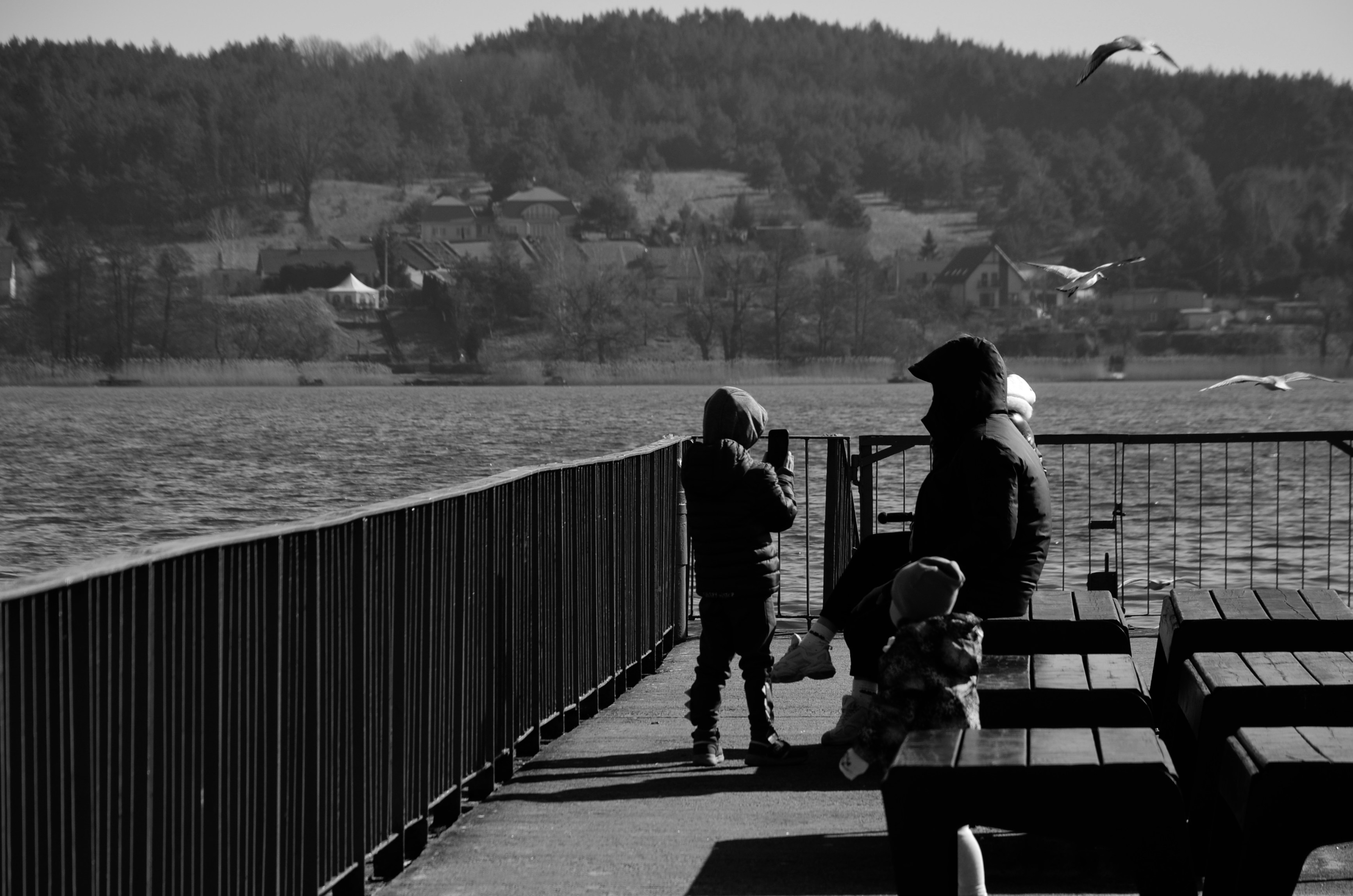 Silhouettes on the Pier: A Quiet Moment by the Water