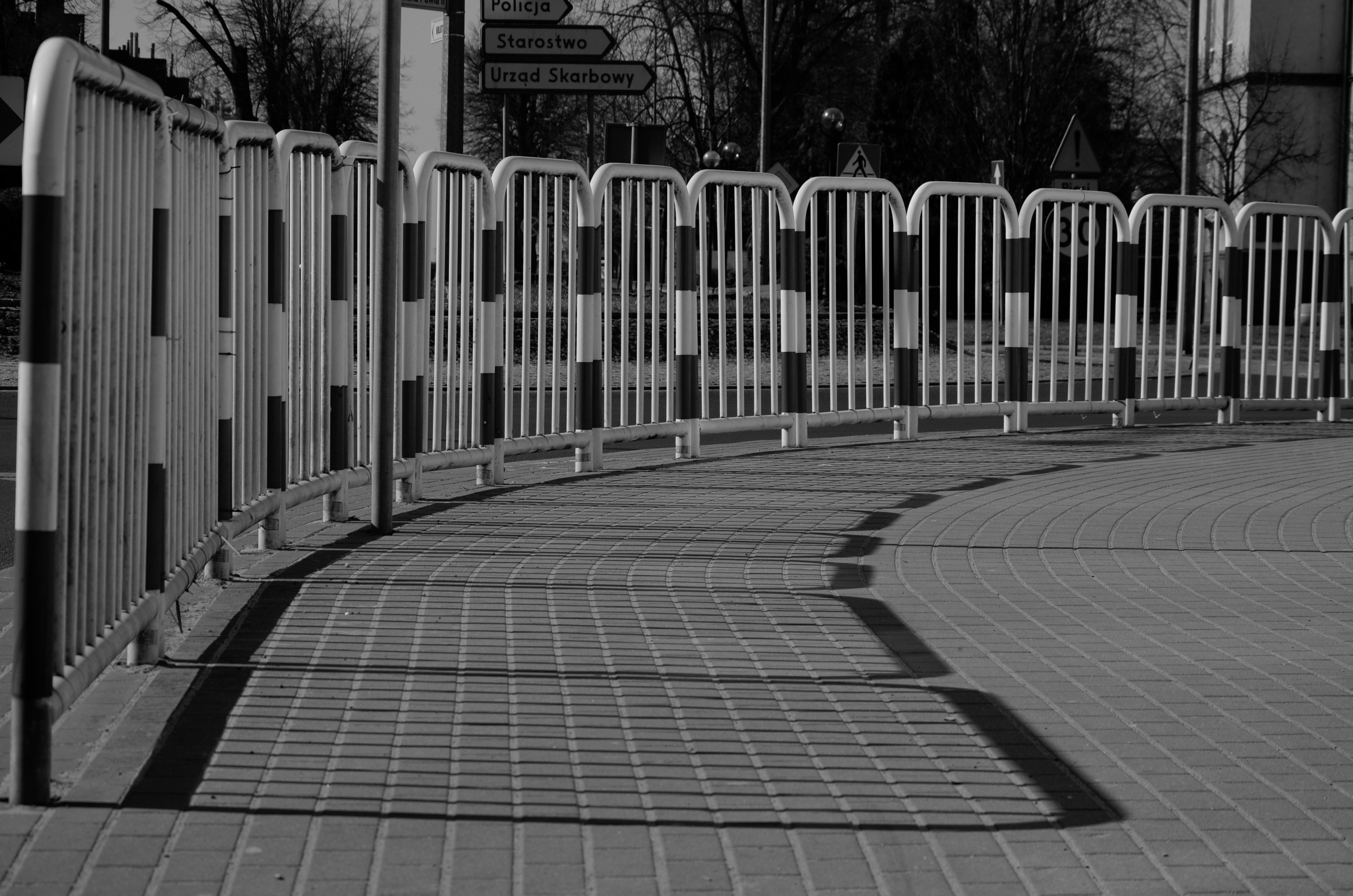 Curved metal barriers casting elongated shadows on a textured pavement, highlighting the interplay of light and form.