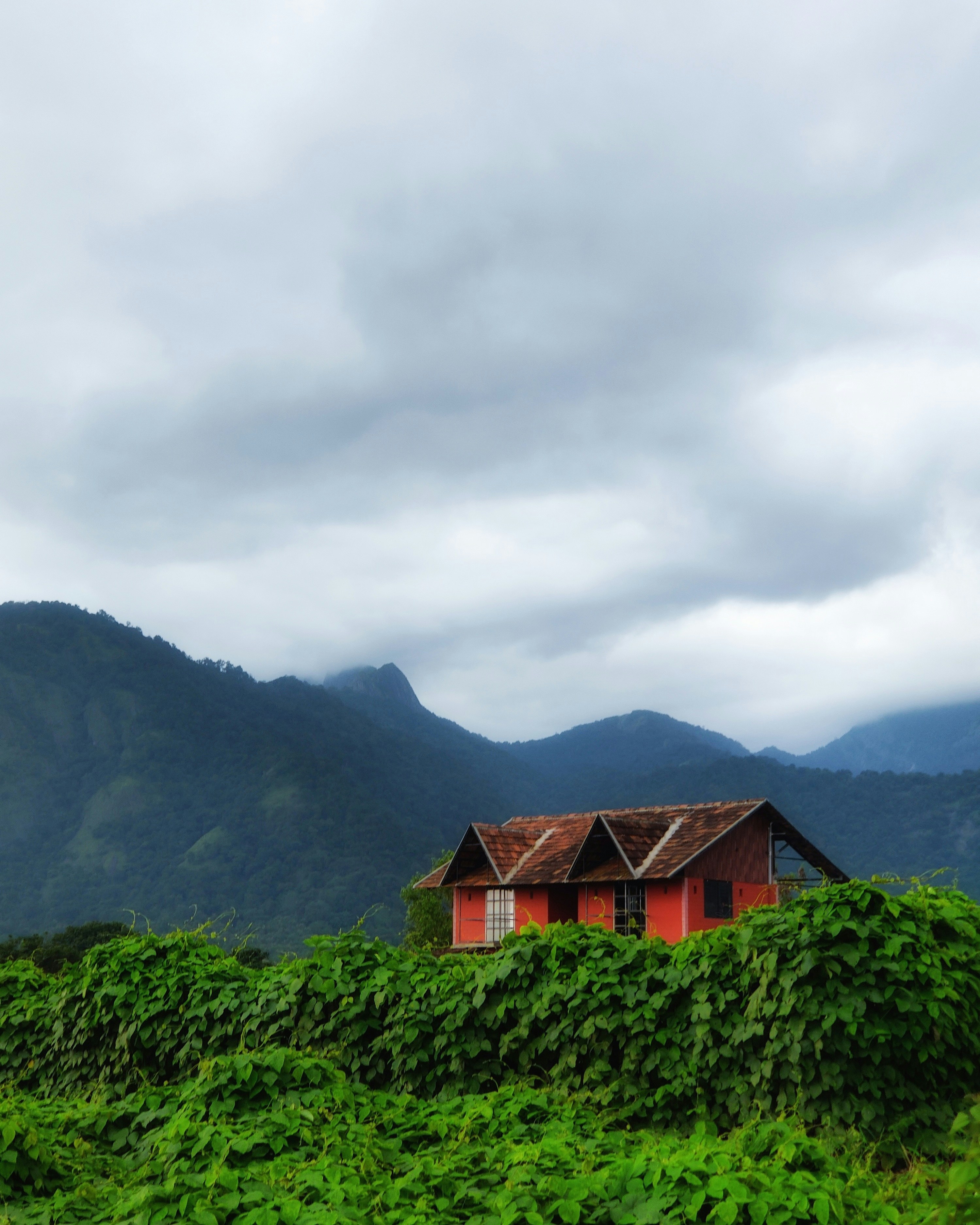 Red Cottage Amid Emerald Veil Beneath Cloudy Highlands