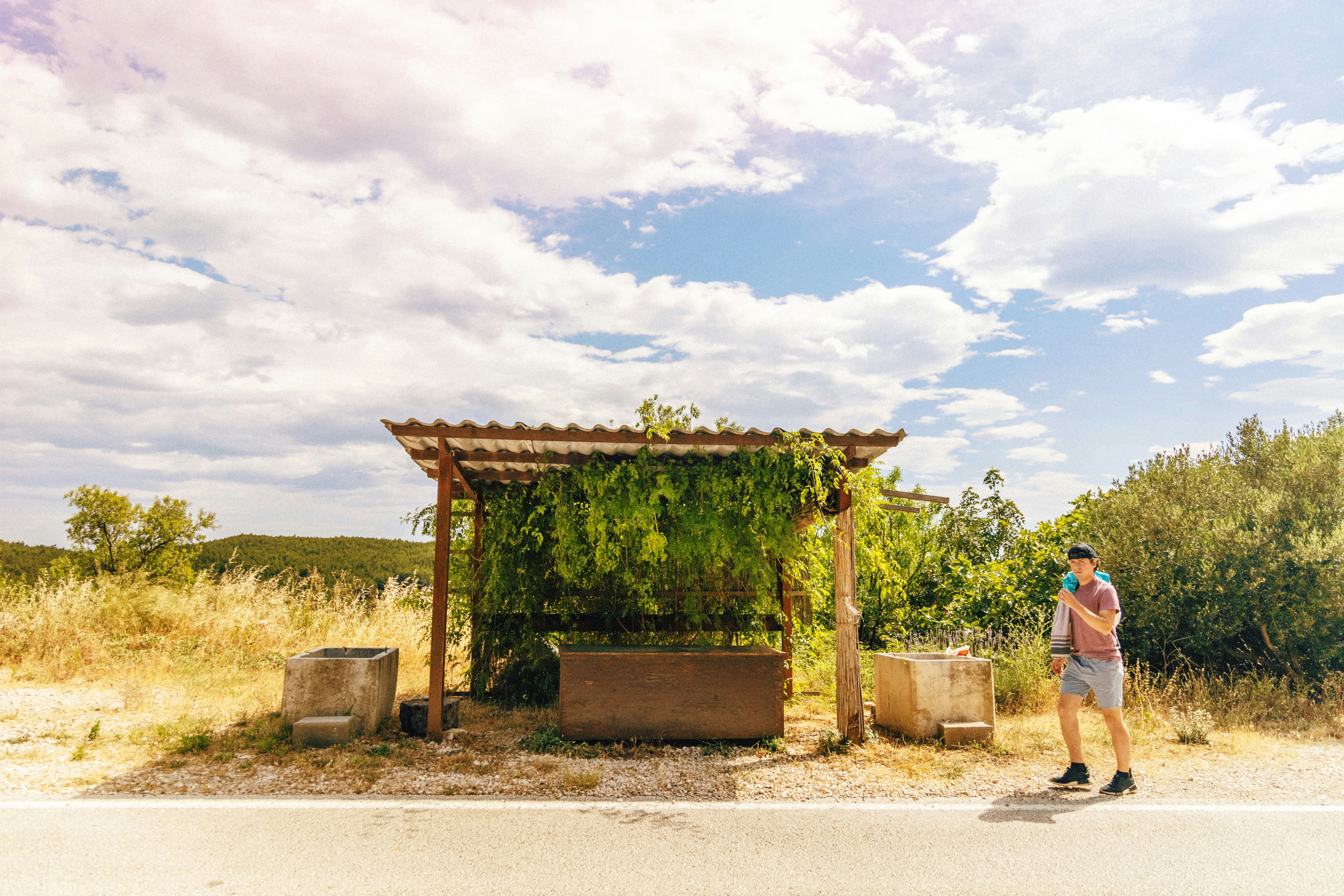 A rustic bus stop draped in greenery alongside a rural road, with a person casually walking by. The scene captures a blend of nature and everyday life.