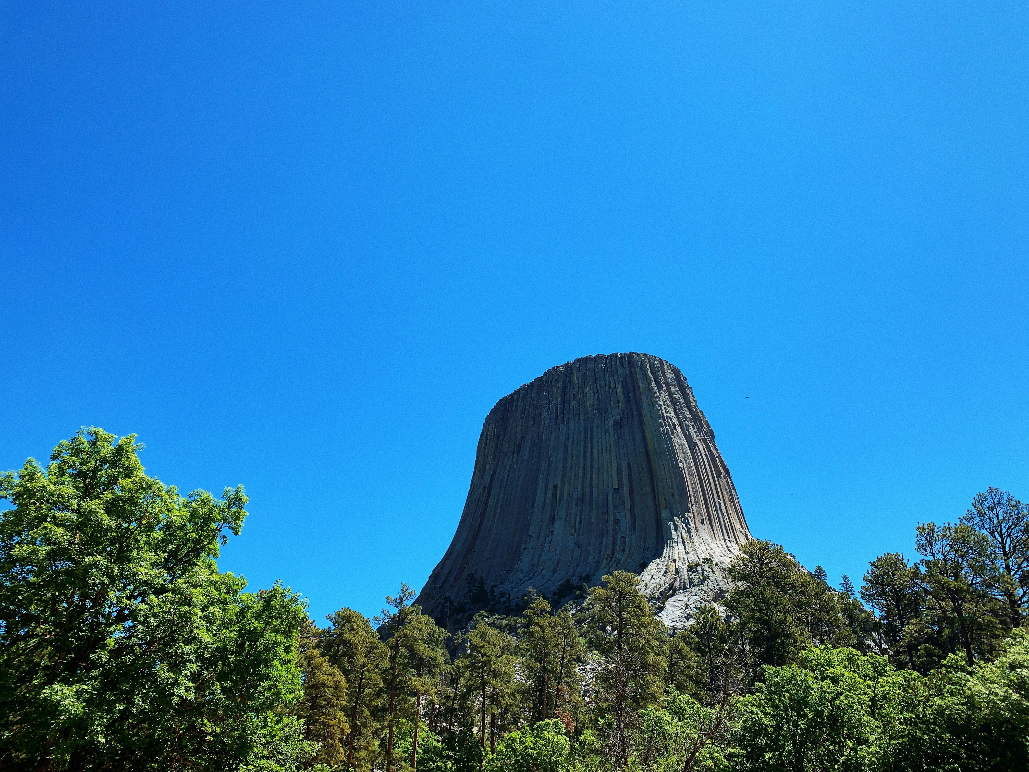 A tall pyramid surrounded by trees with Devils Tower in the background ...