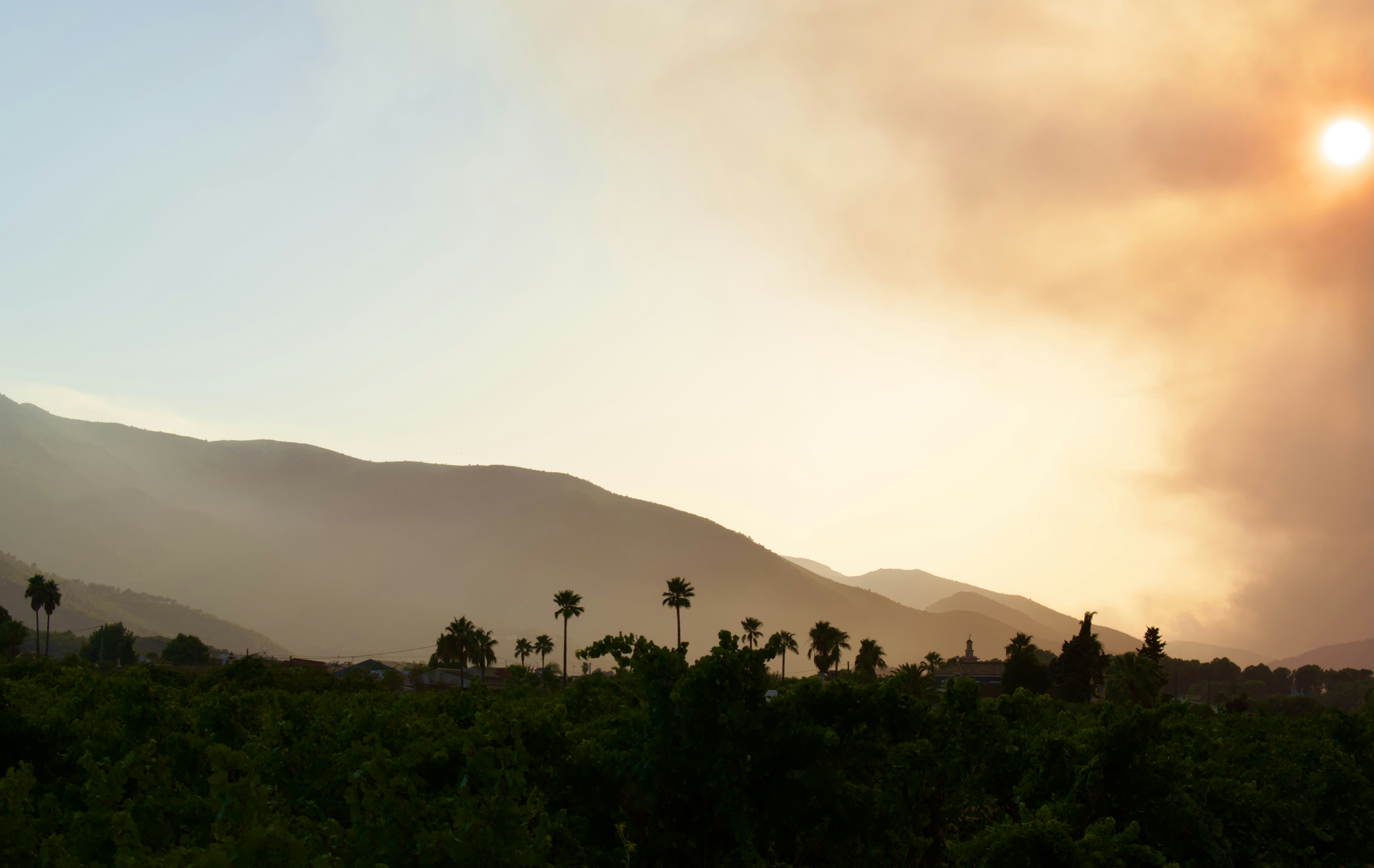 A landscape with trees and mountains in the background photo – Free ...