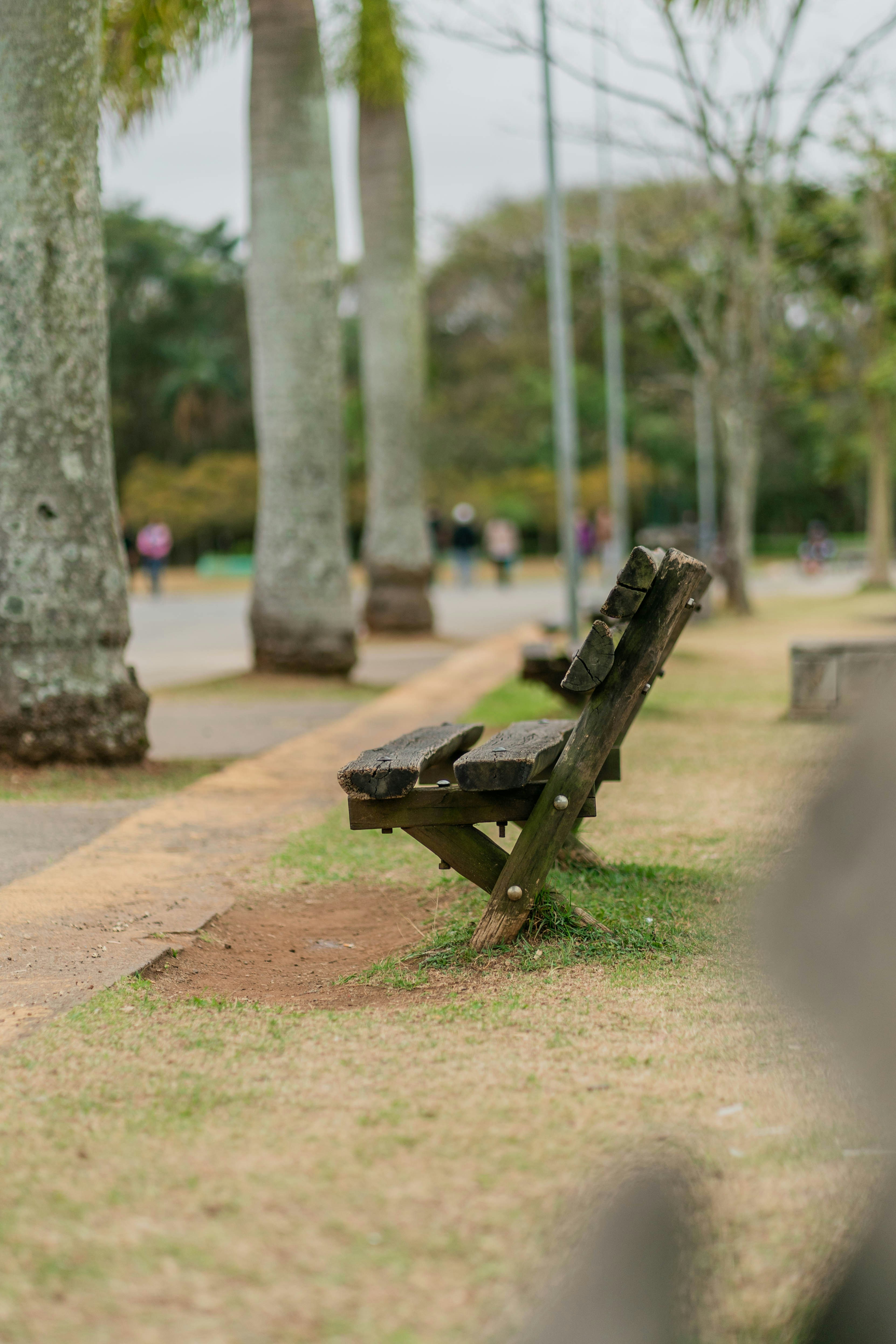 a bench in a park