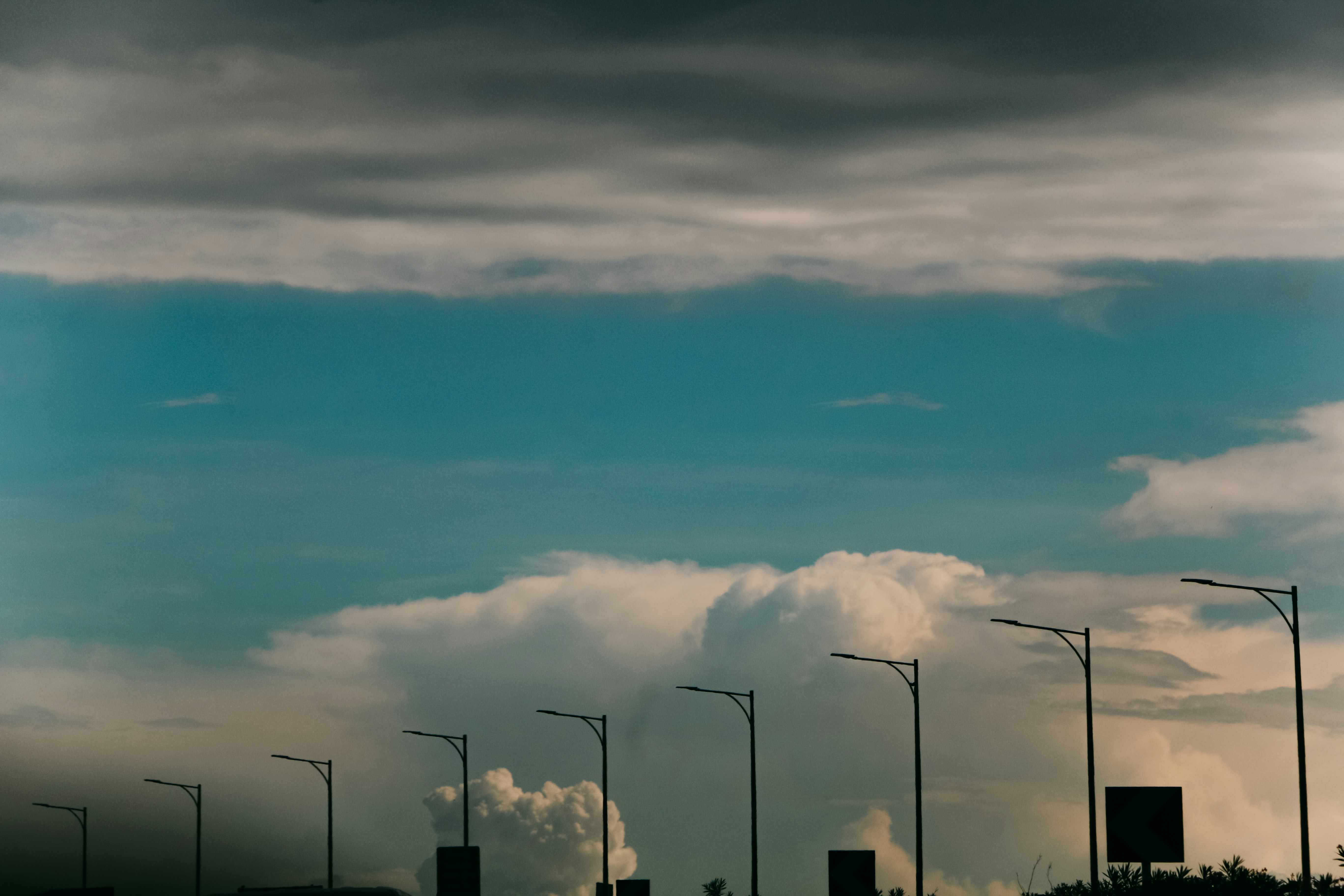 Sentinel Row: Streetlights Carve a Quiet Horizon