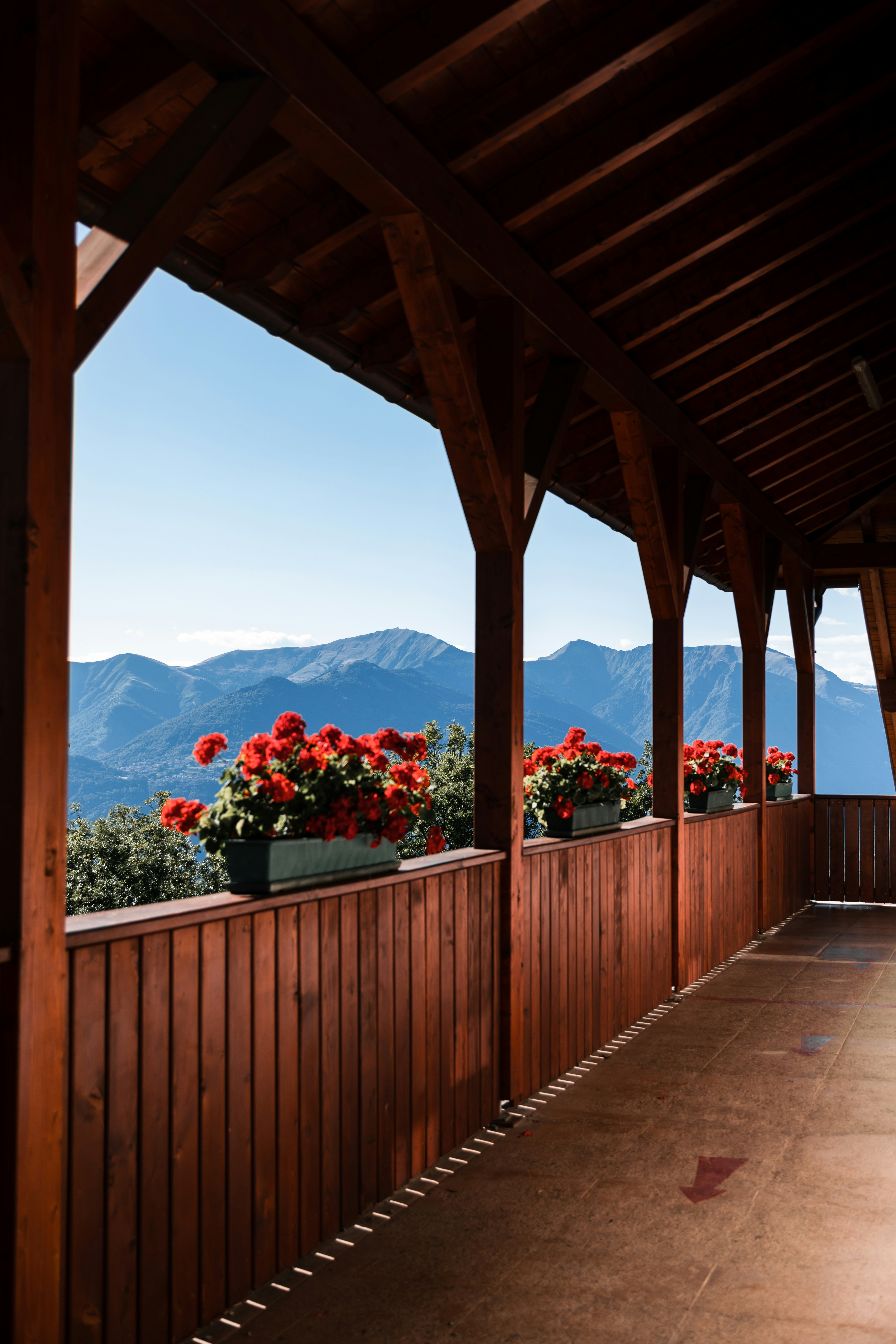 Red Geraniums Anchor a Sunlit Alpine Balcony
