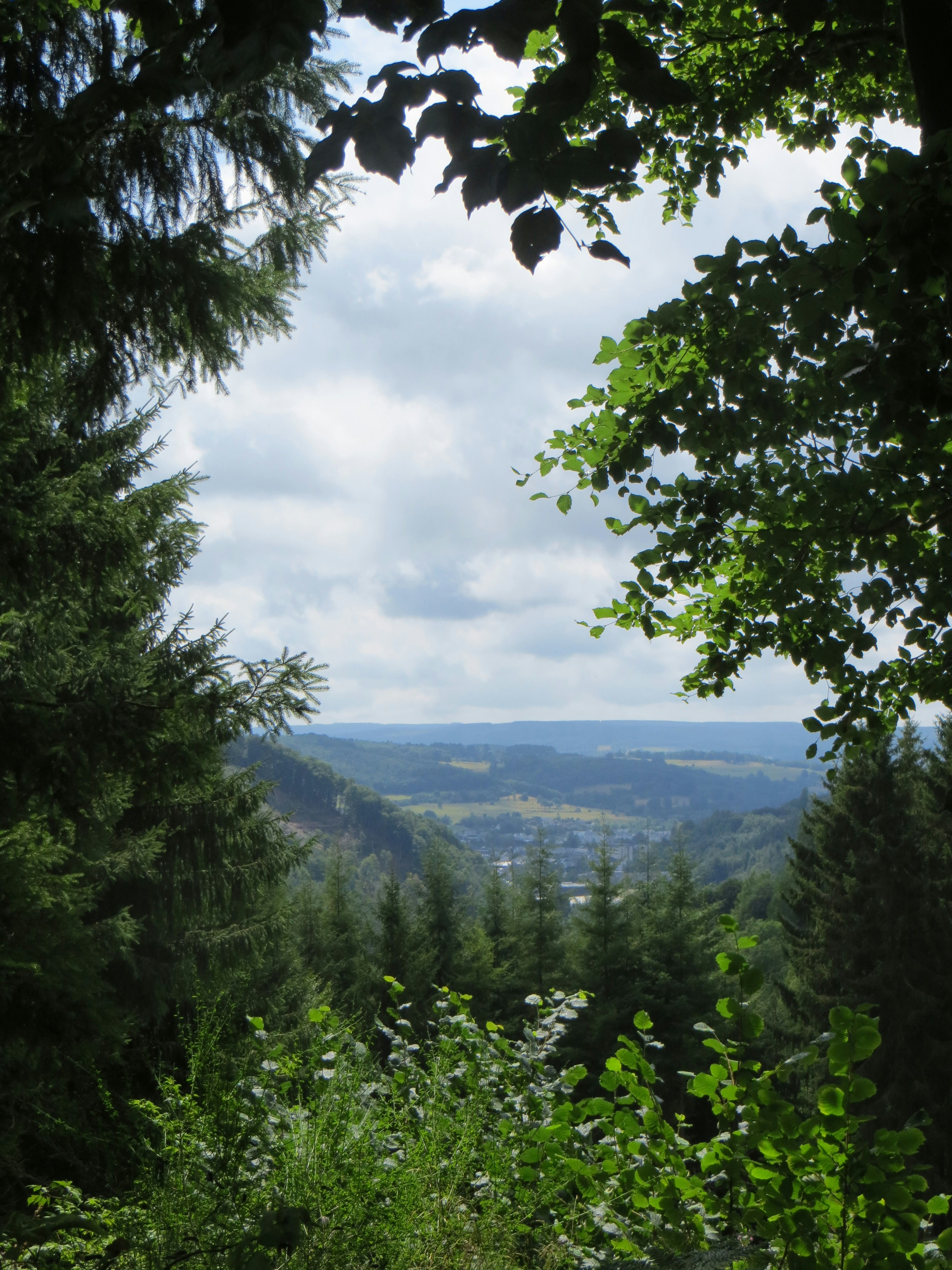 Lush green foliage frames a distant valley under a cloudy sky, highlighting the beauty of nature's tranquility.