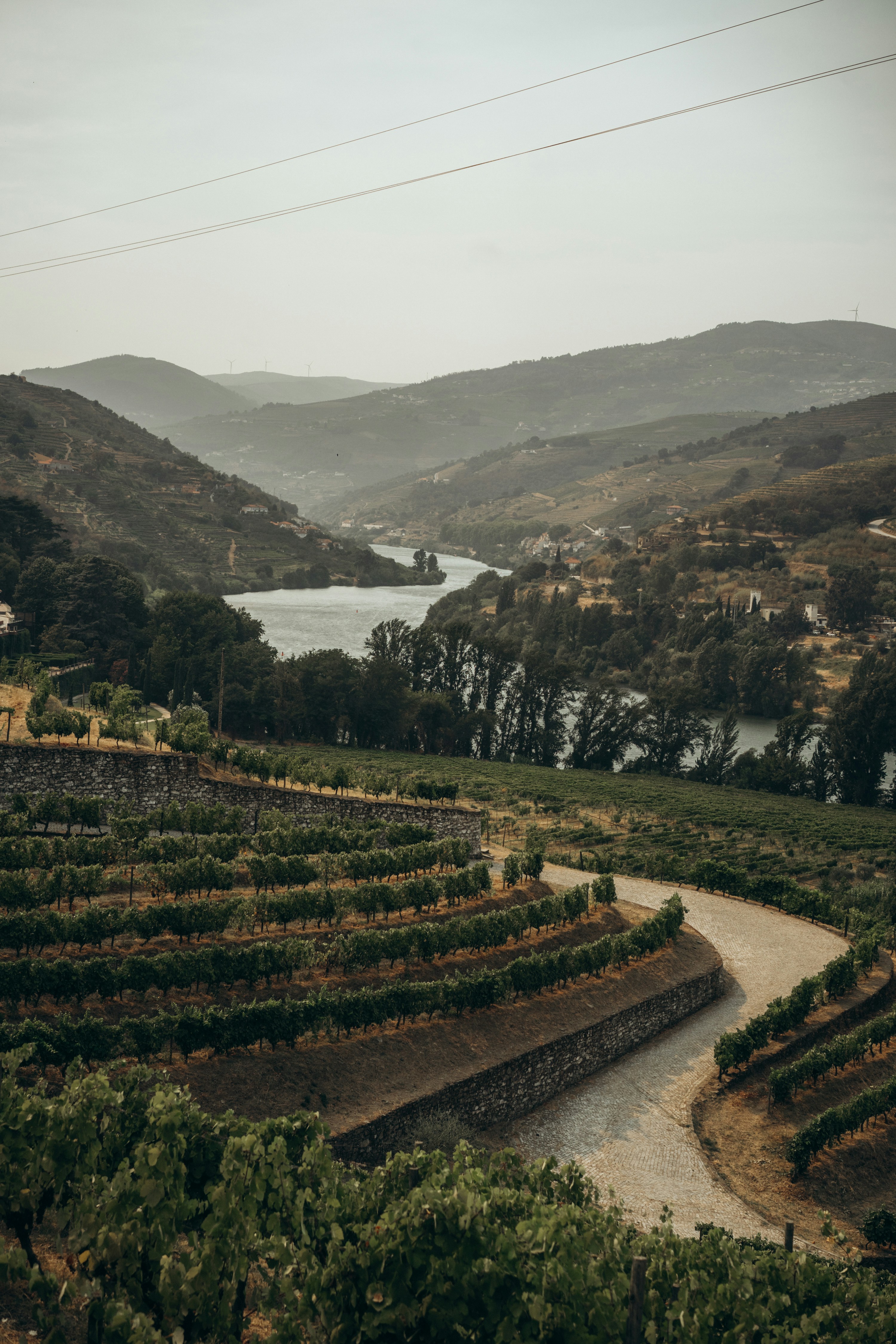 Un paysage avec des collines et des arbres photo – Photo Le Portugal ...