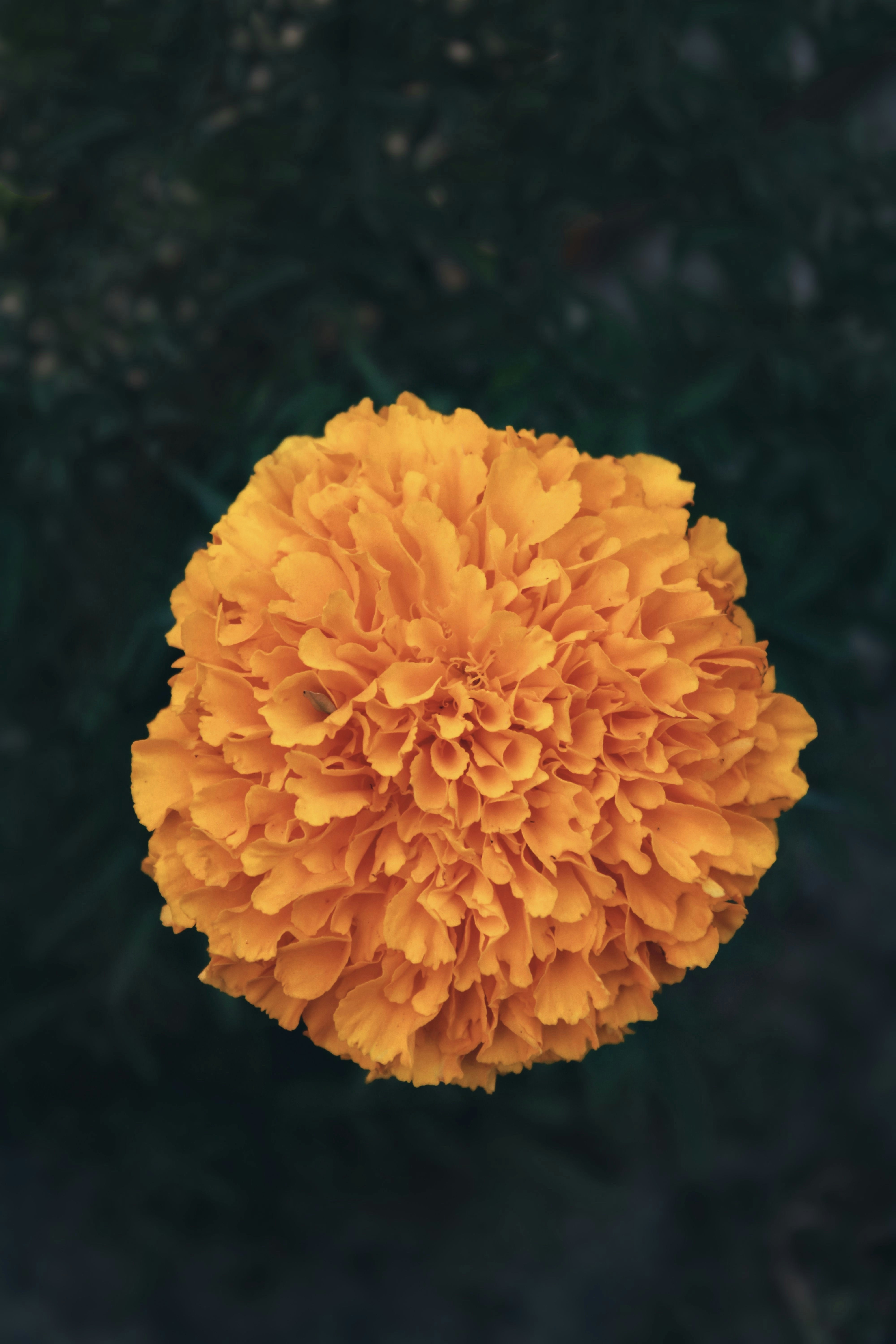 Density Pictures | Download Free Images on Unsplash