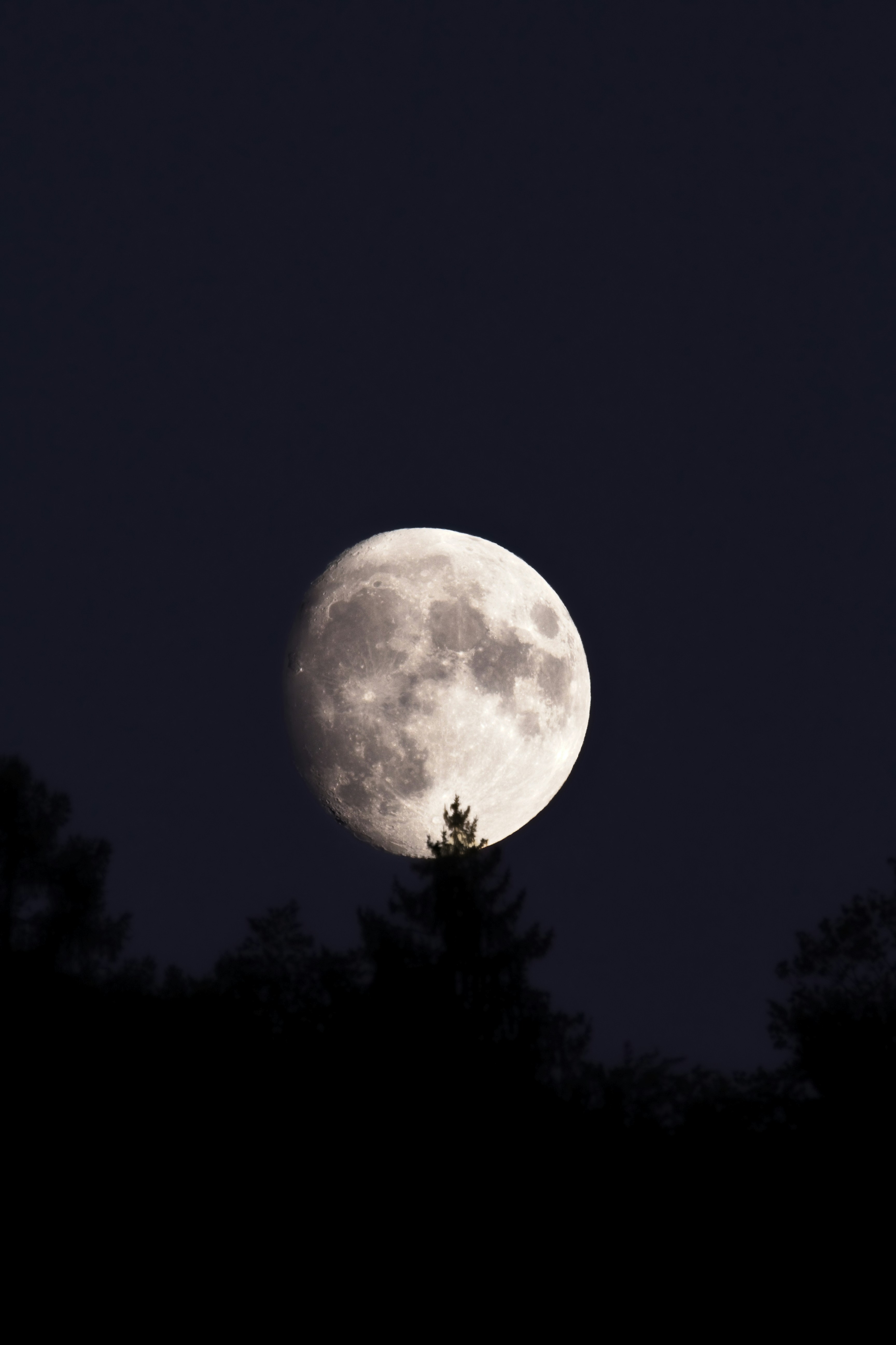 30k+ Full Moon Night Pictures | Download Free Images on Unsplash