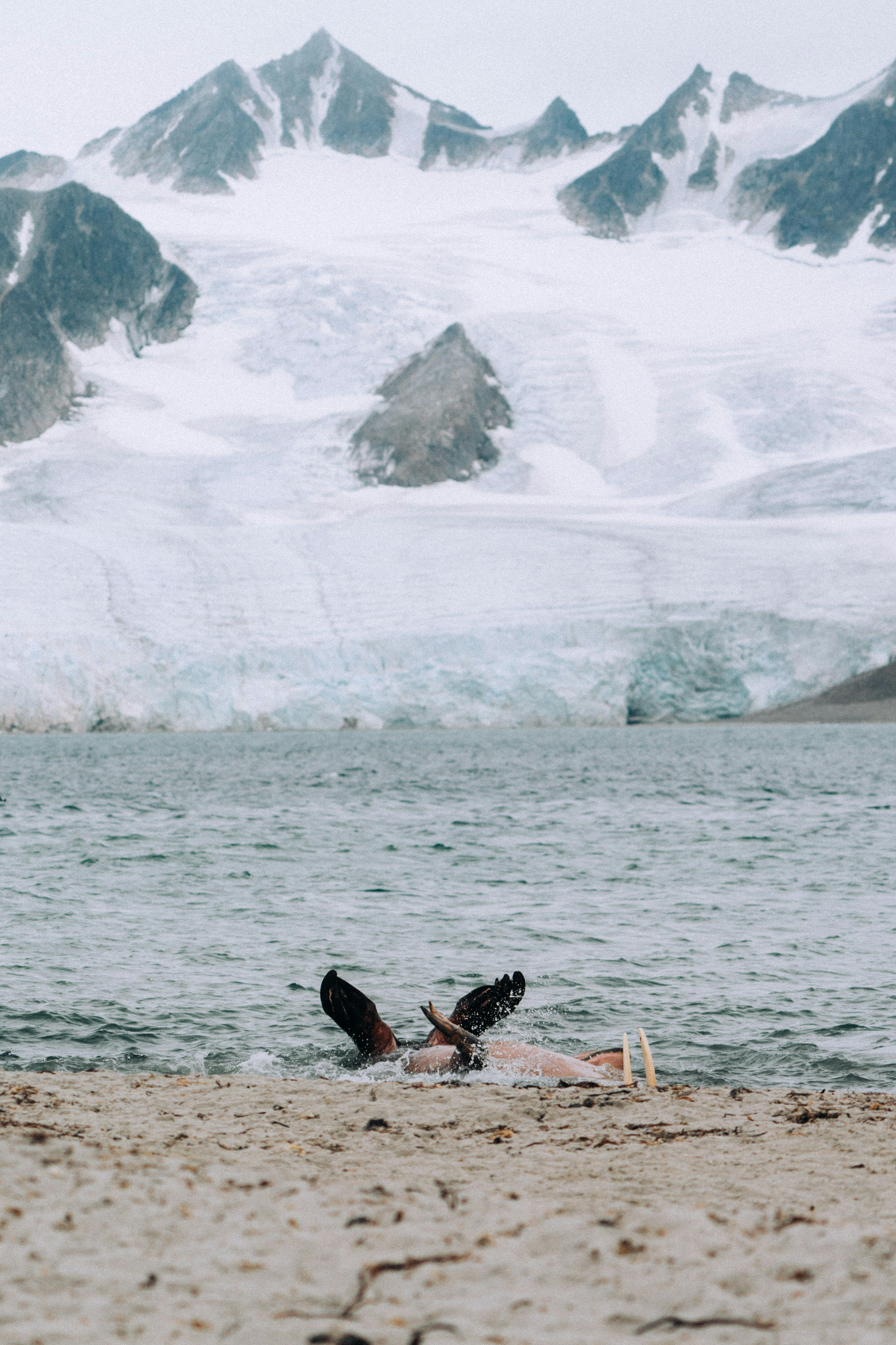 Two figures joyfully splashing in the icy waters near a glacier, surrounded by a rugged mountain landscape.