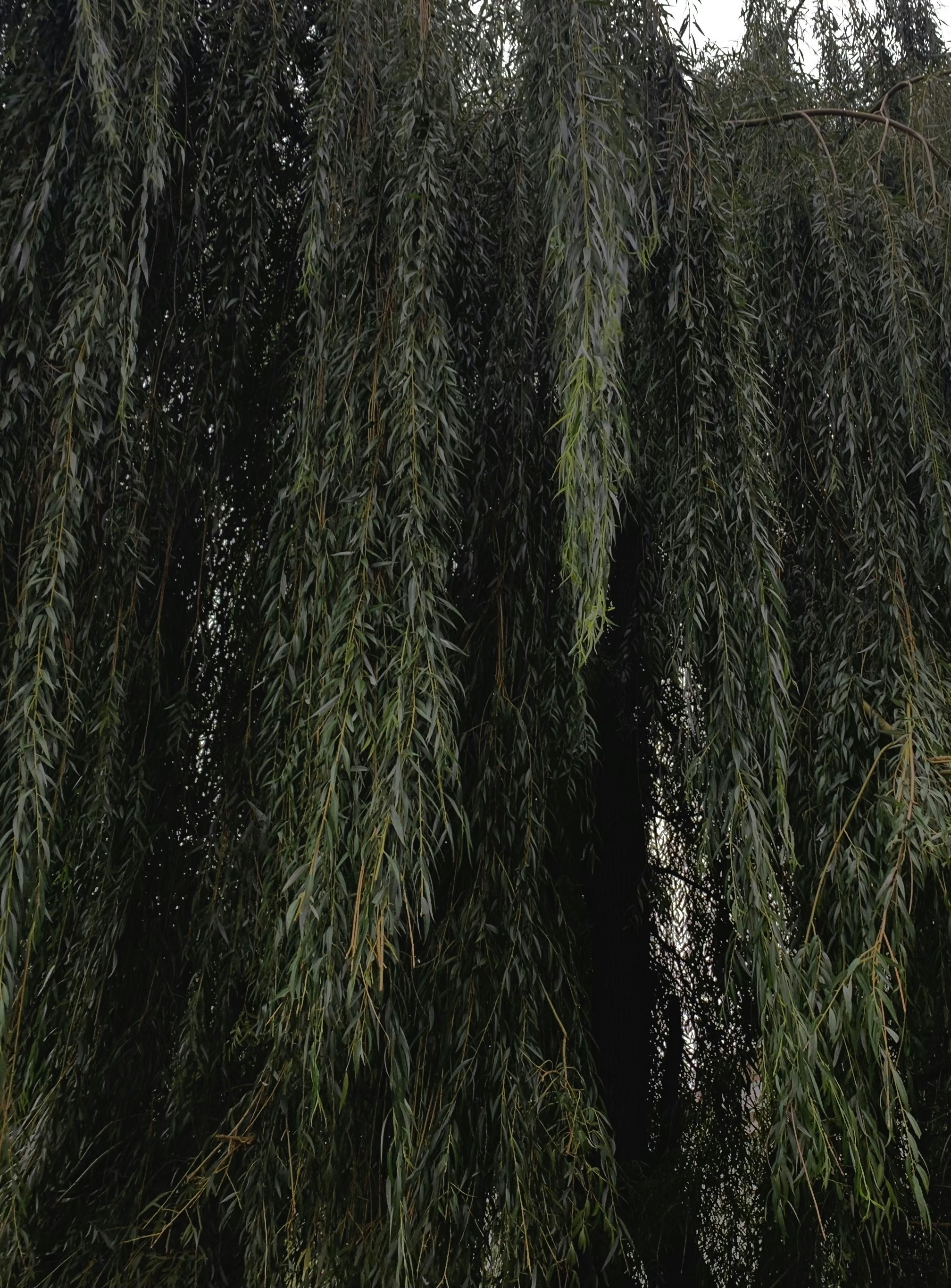 Photo by Alexander ponury with Apple iPhone XR