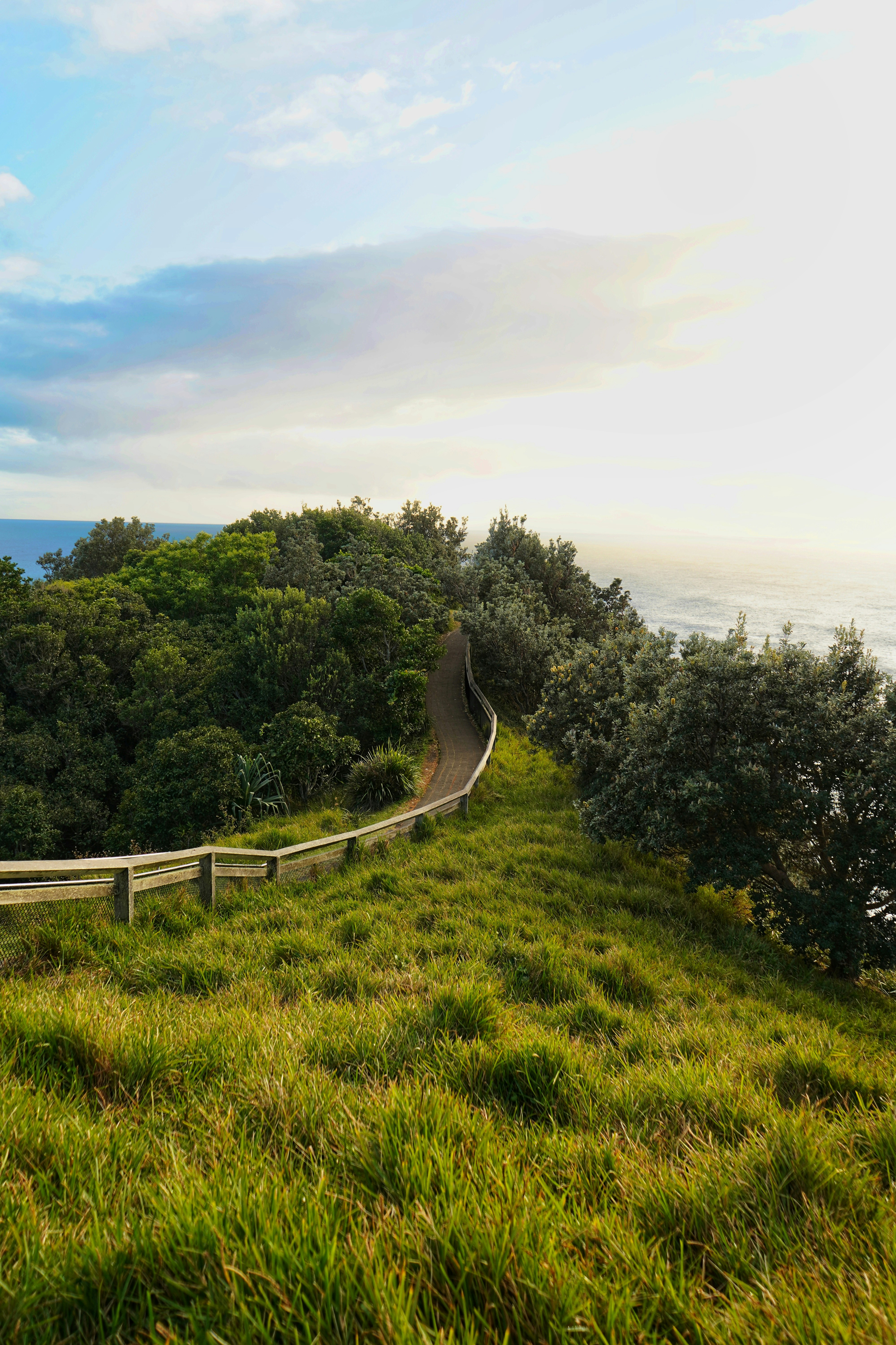 A fence in a grassy area photo – Free Australia Image on Unsplash
