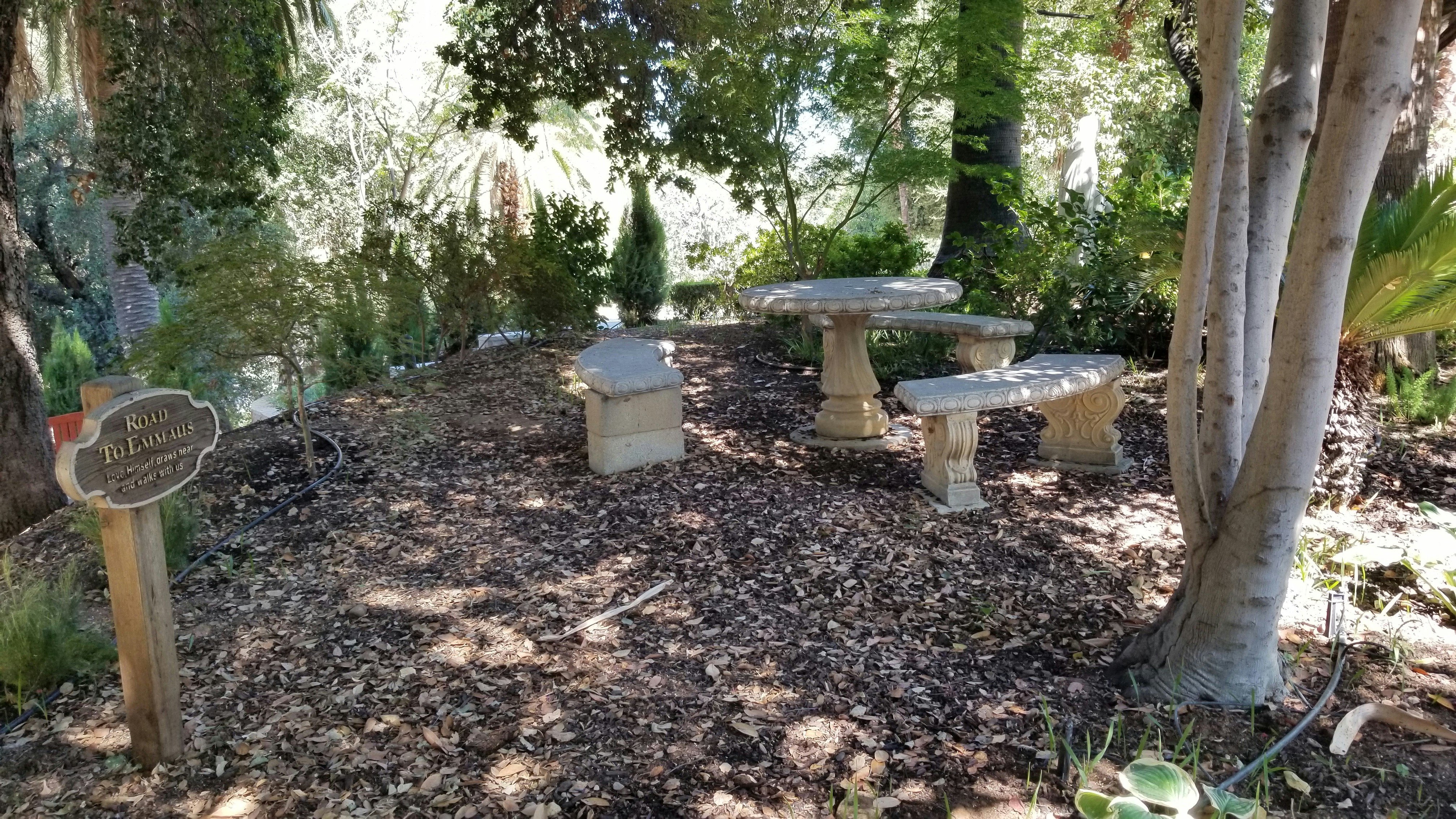 a park with benches and trees