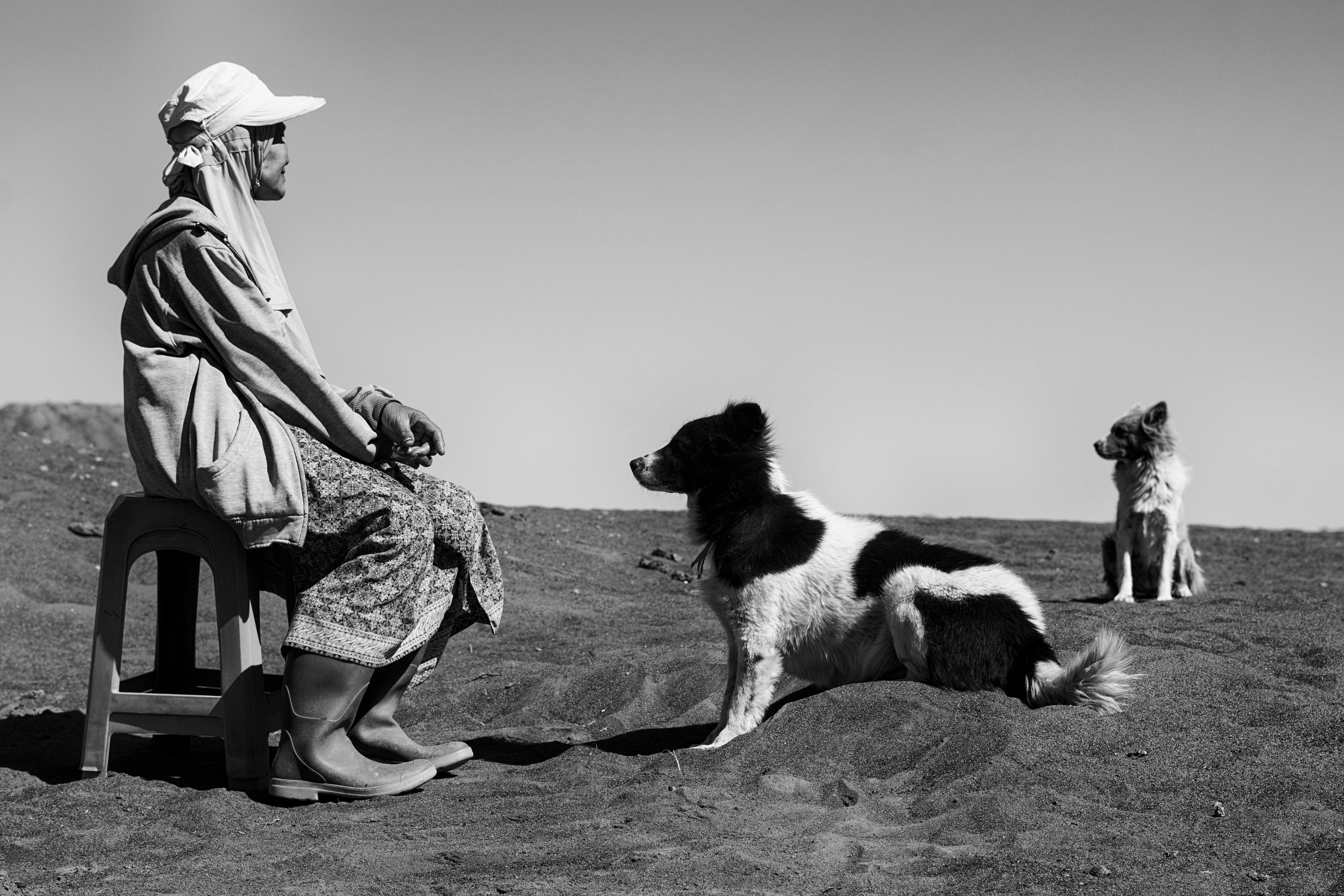 Whisper on the Dune: A Seated Figure and Two Canine Companions in Monochrome