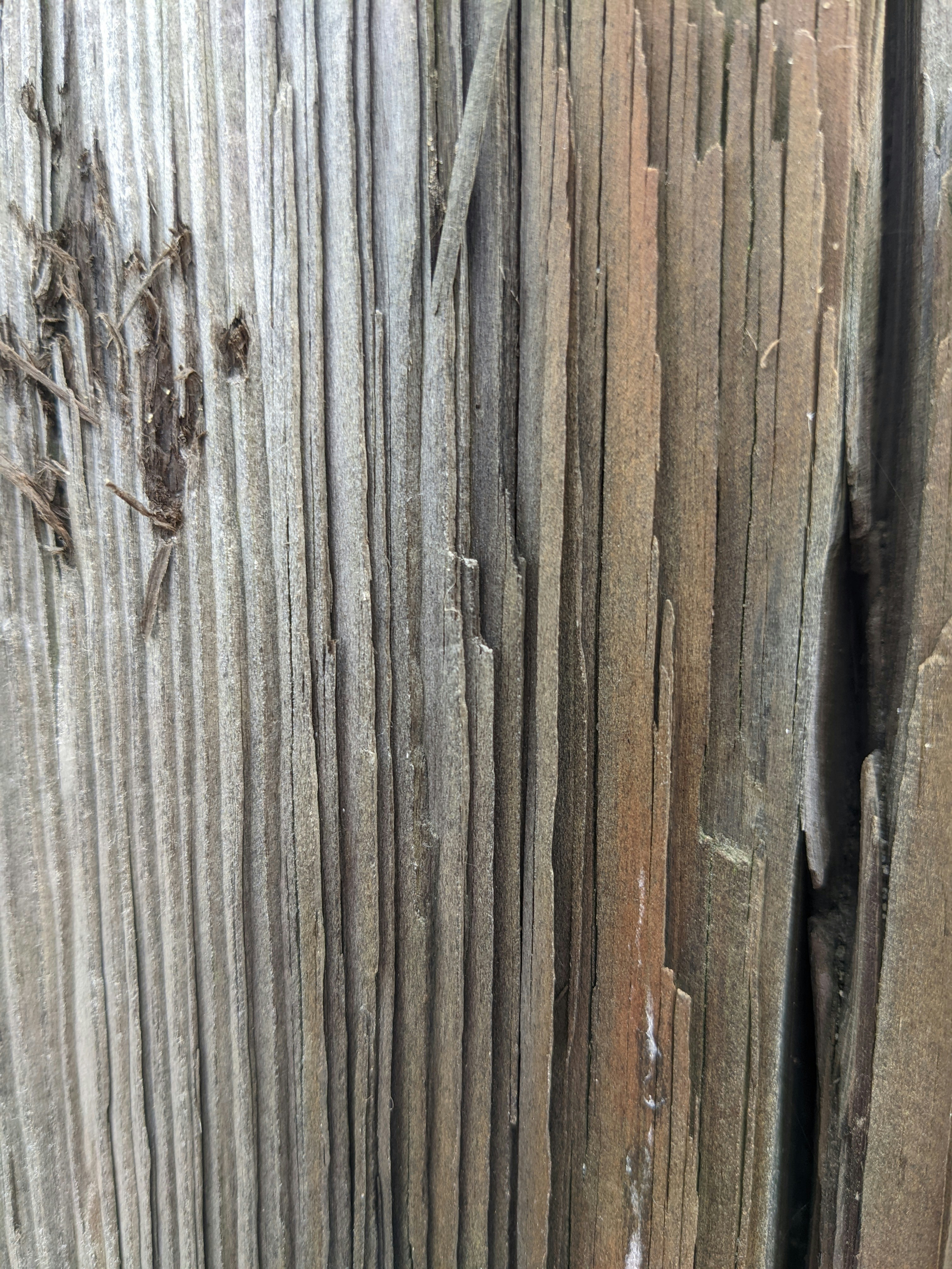 Close-up of weathered wooden planks showcasing intricate textures and natural colors.