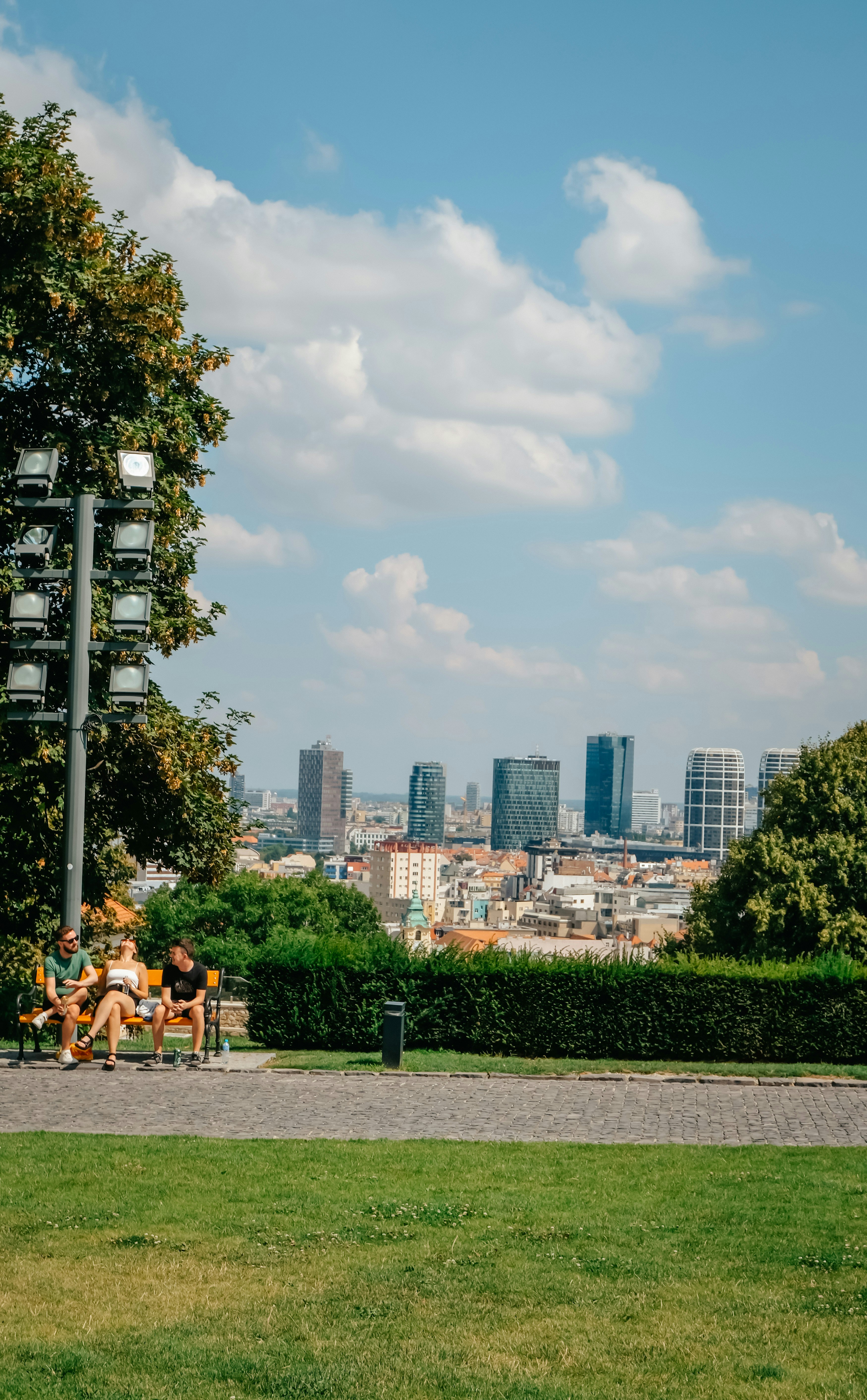 City View from the Park: A Quiet Moment Beneath the Light