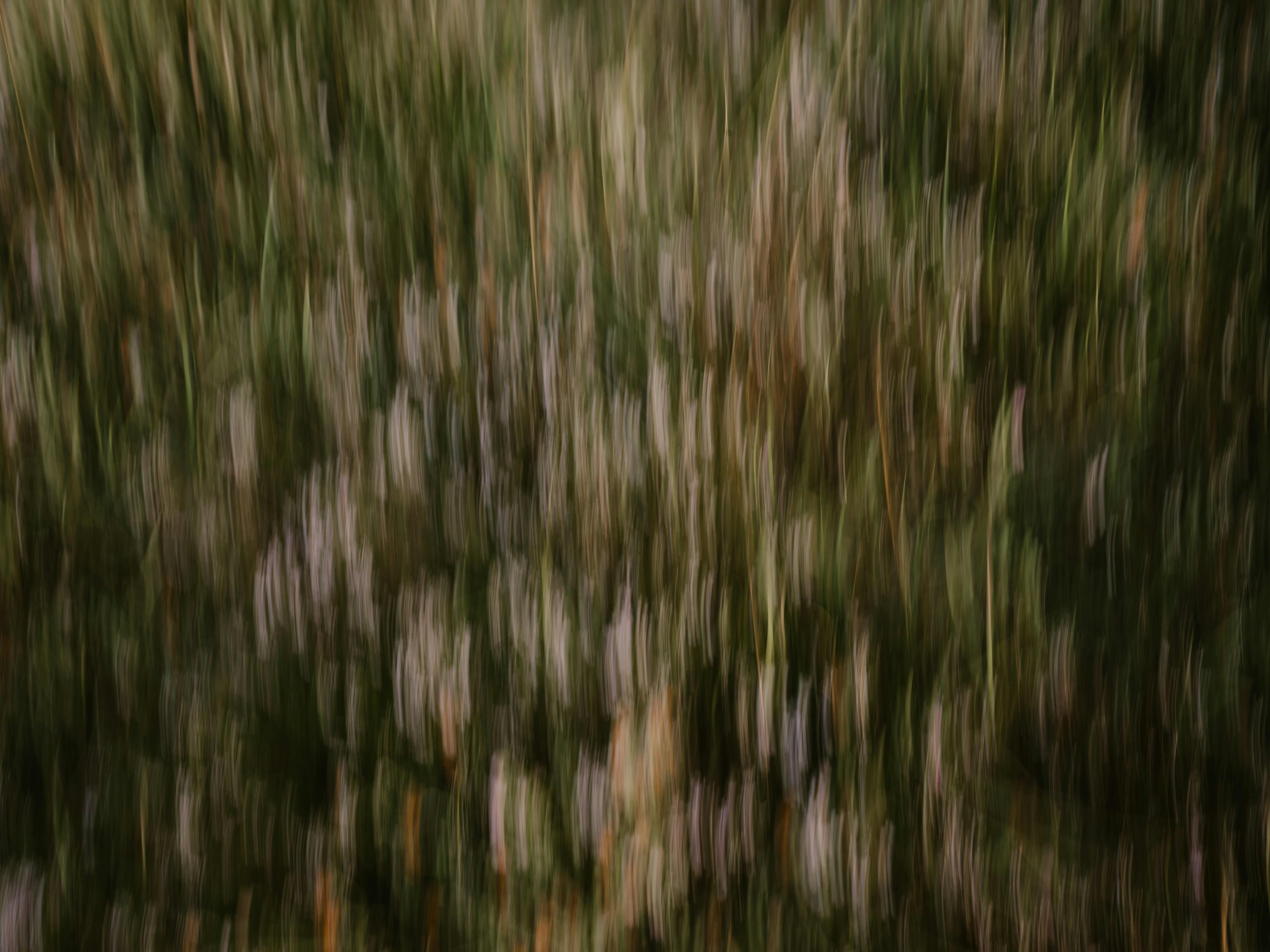 Photo by Annie Spratt with Hasselblad 907X 50C