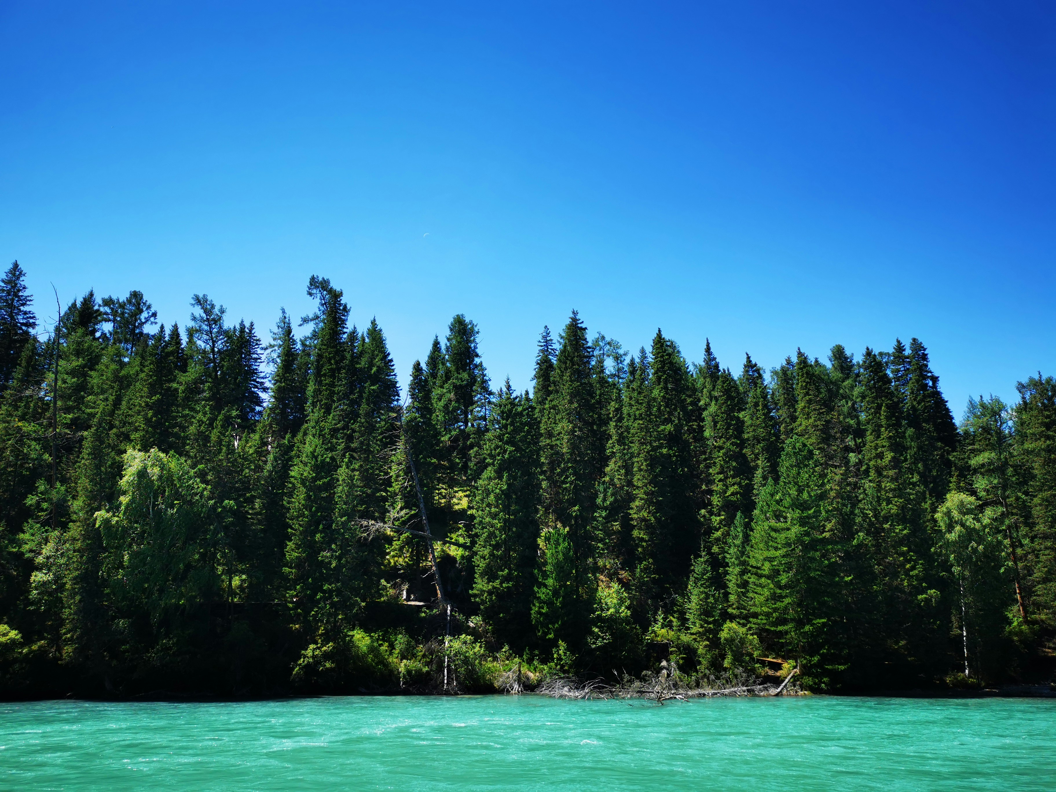 Lush green trees line the vibrant turquoise river, contrasting sharply with the clear blue sky above.