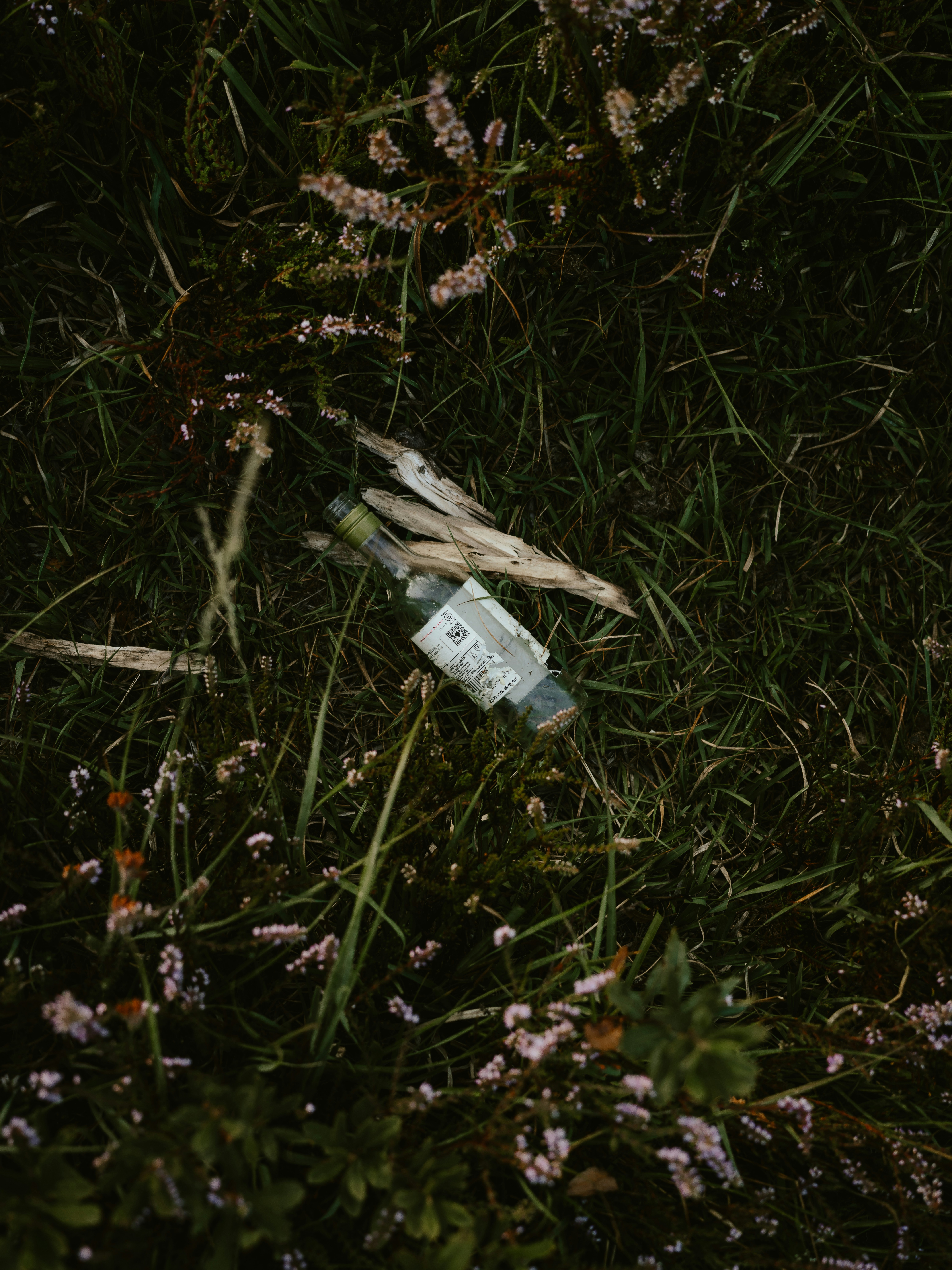 Twilight Meadow: A Weathered Bottle Among Dusky Wildflowers
