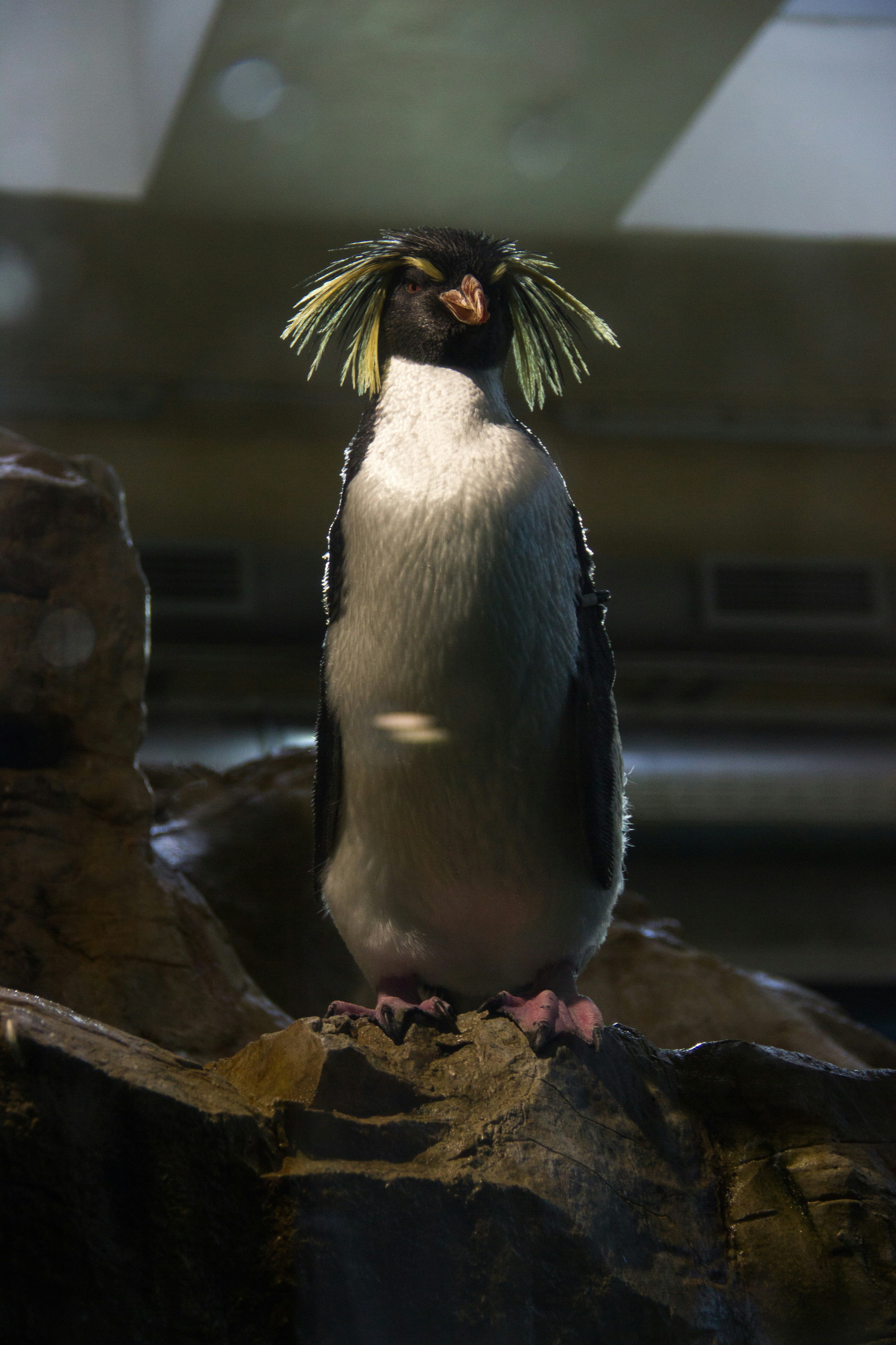 Photo by Alexander Avetisov with Canon EOS 600D