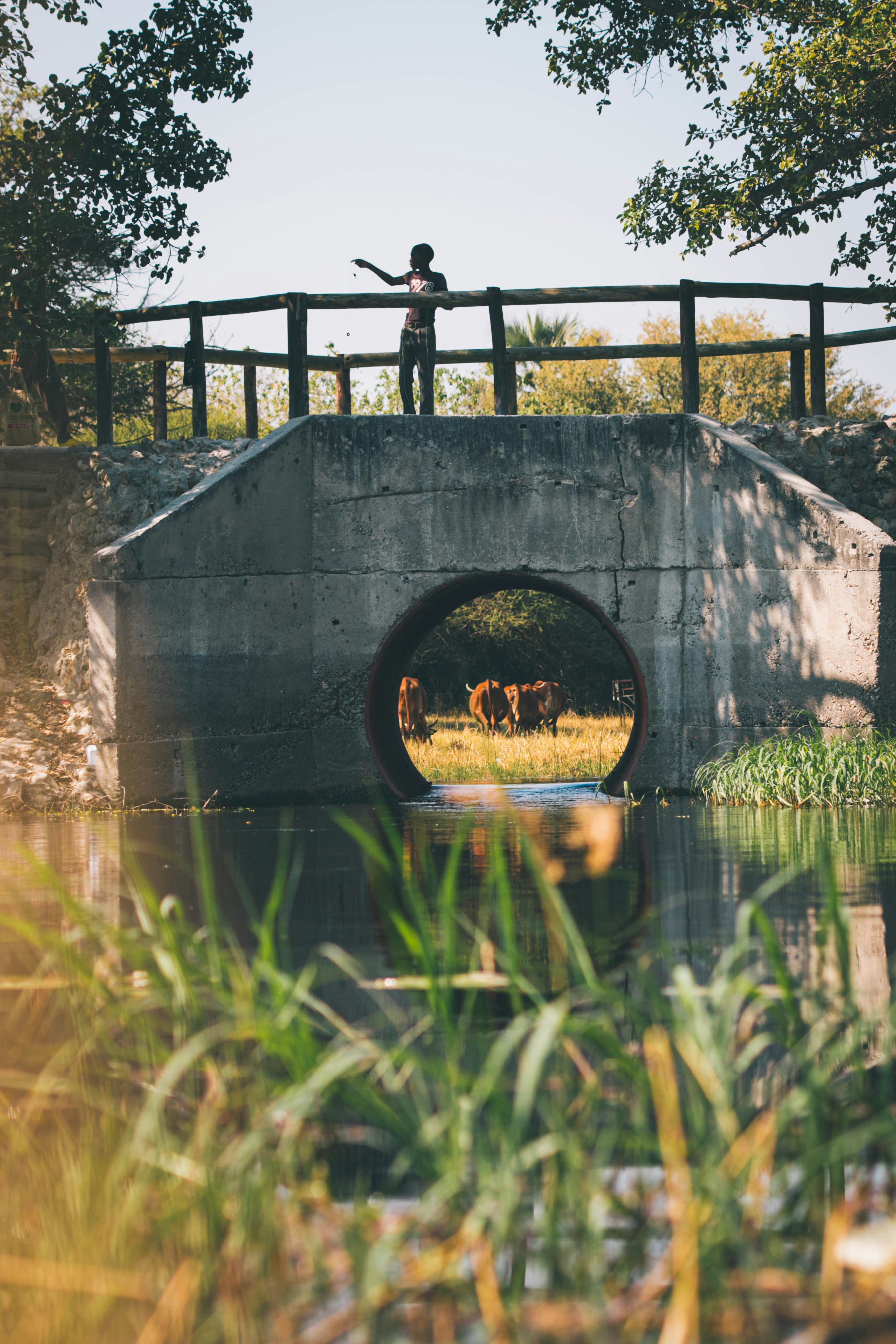 Free Human Image on Unsplash