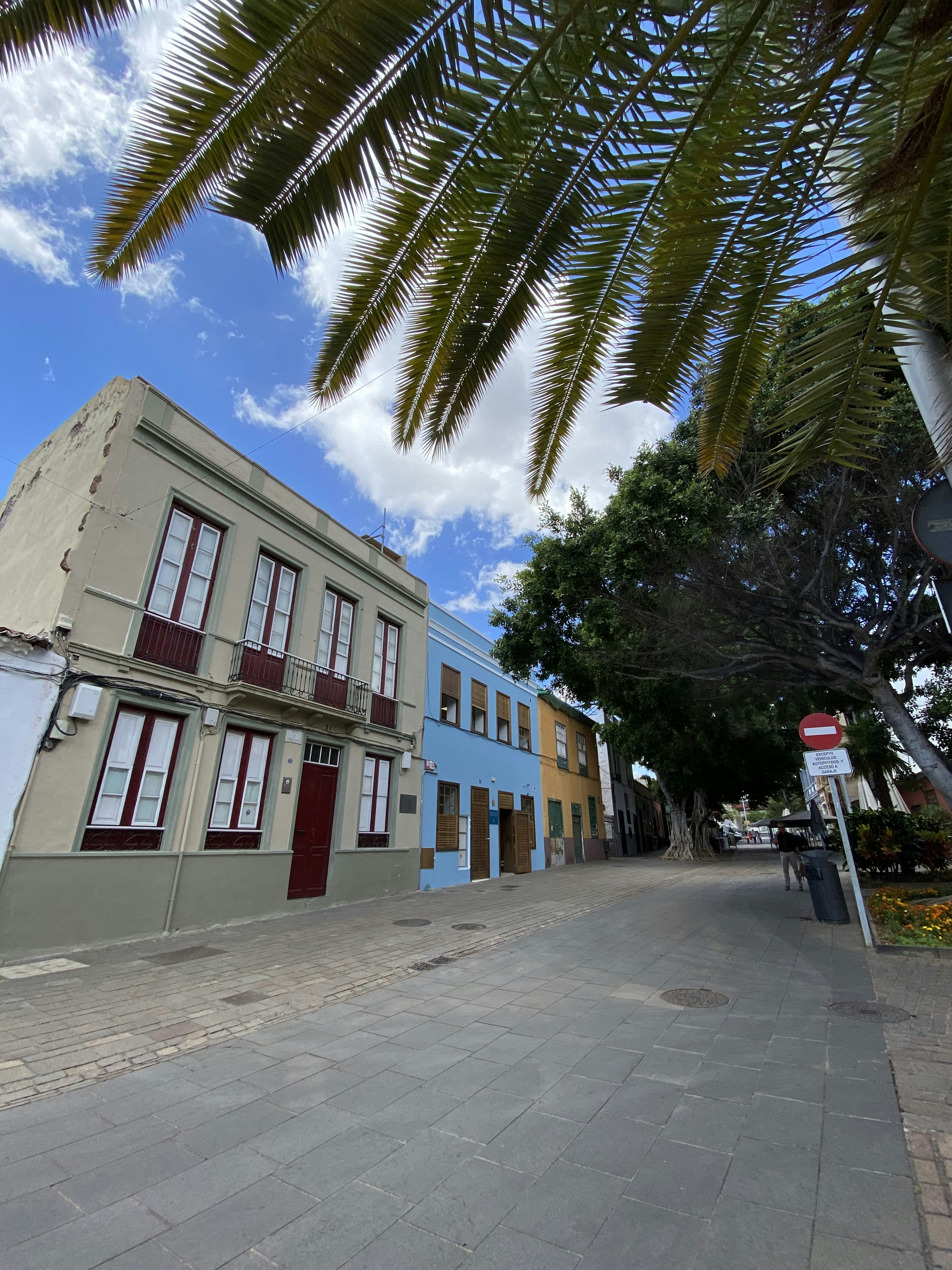 Historic buildings line a charming street under a vibrant sky, framed by lush palm leaves. The scene captures the essence of urban life and architectural diversity.