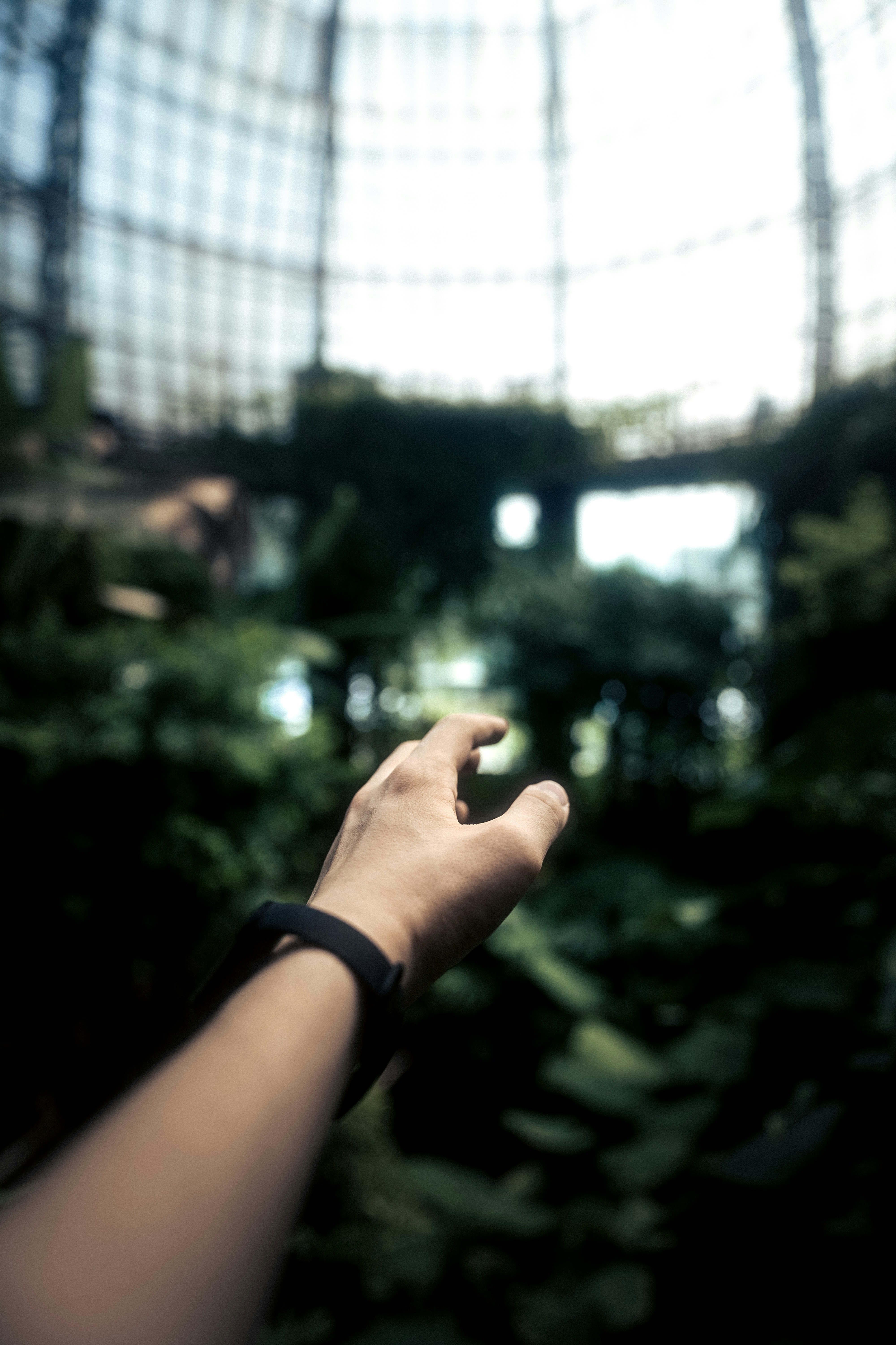 Reach Toward the Glass Atrium