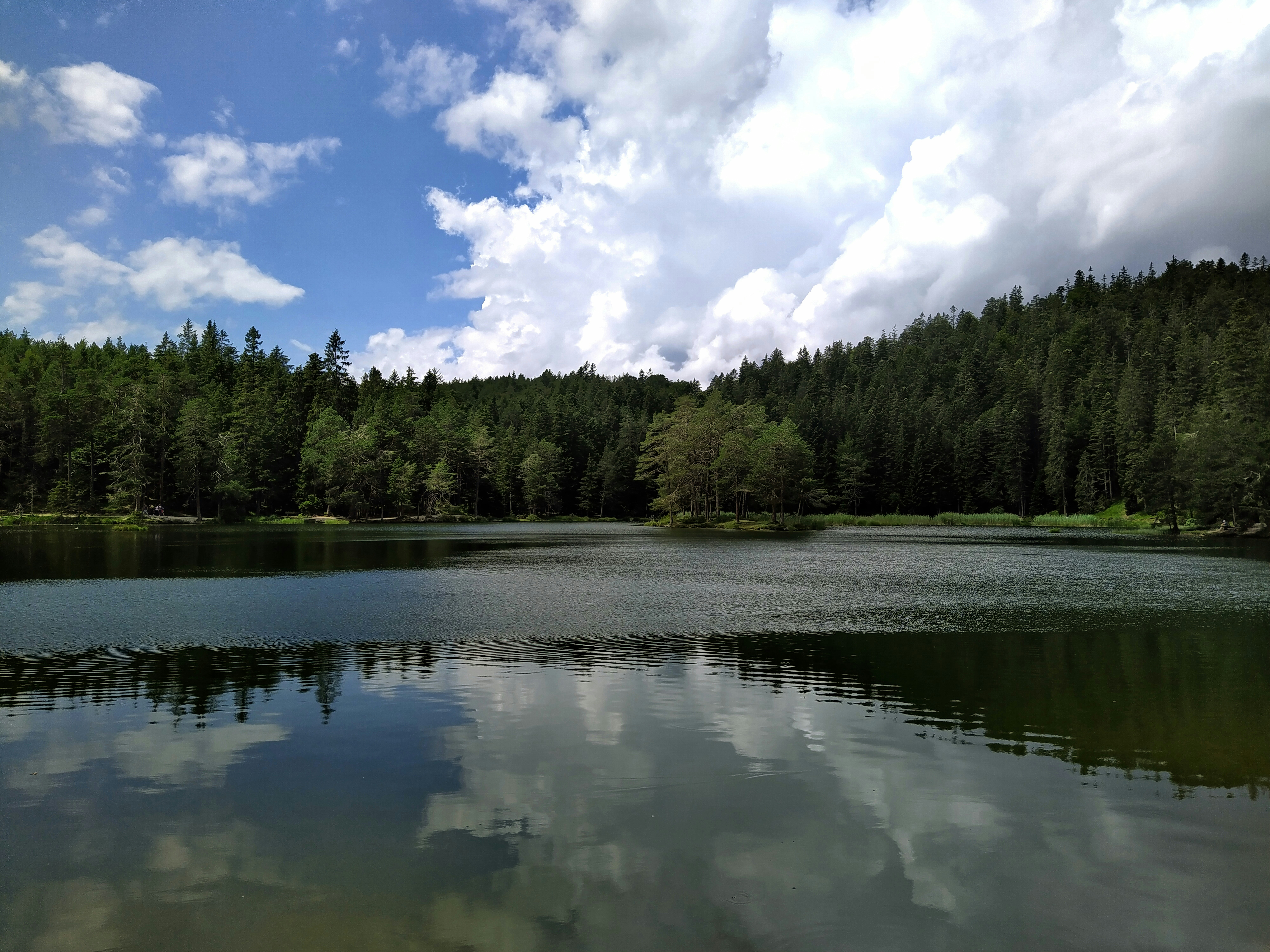 A lake with trees around it photo – Free Austria Image on Unsplash