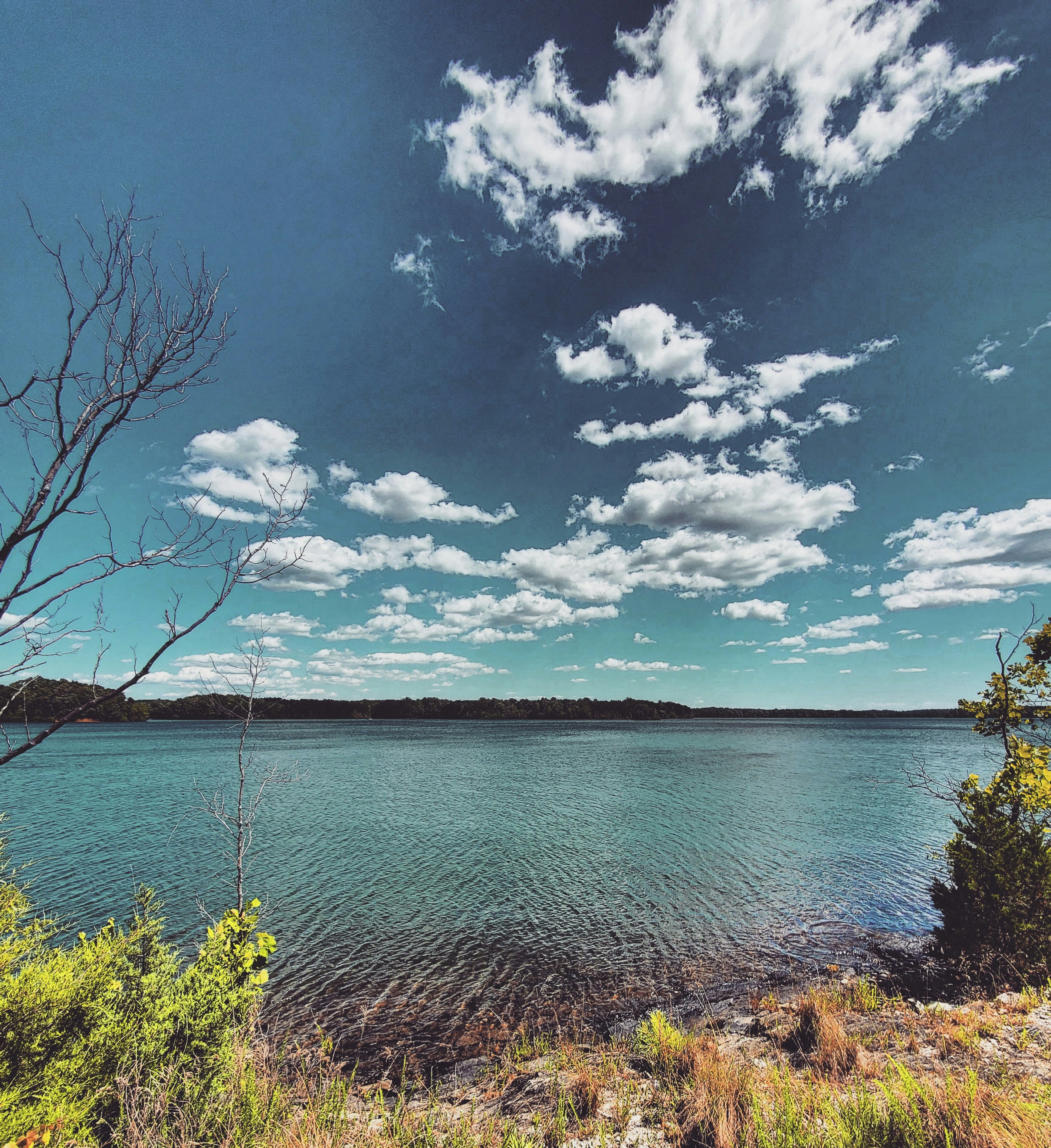 A body of water with trees around it photo – Free Mayo lake Image on ...