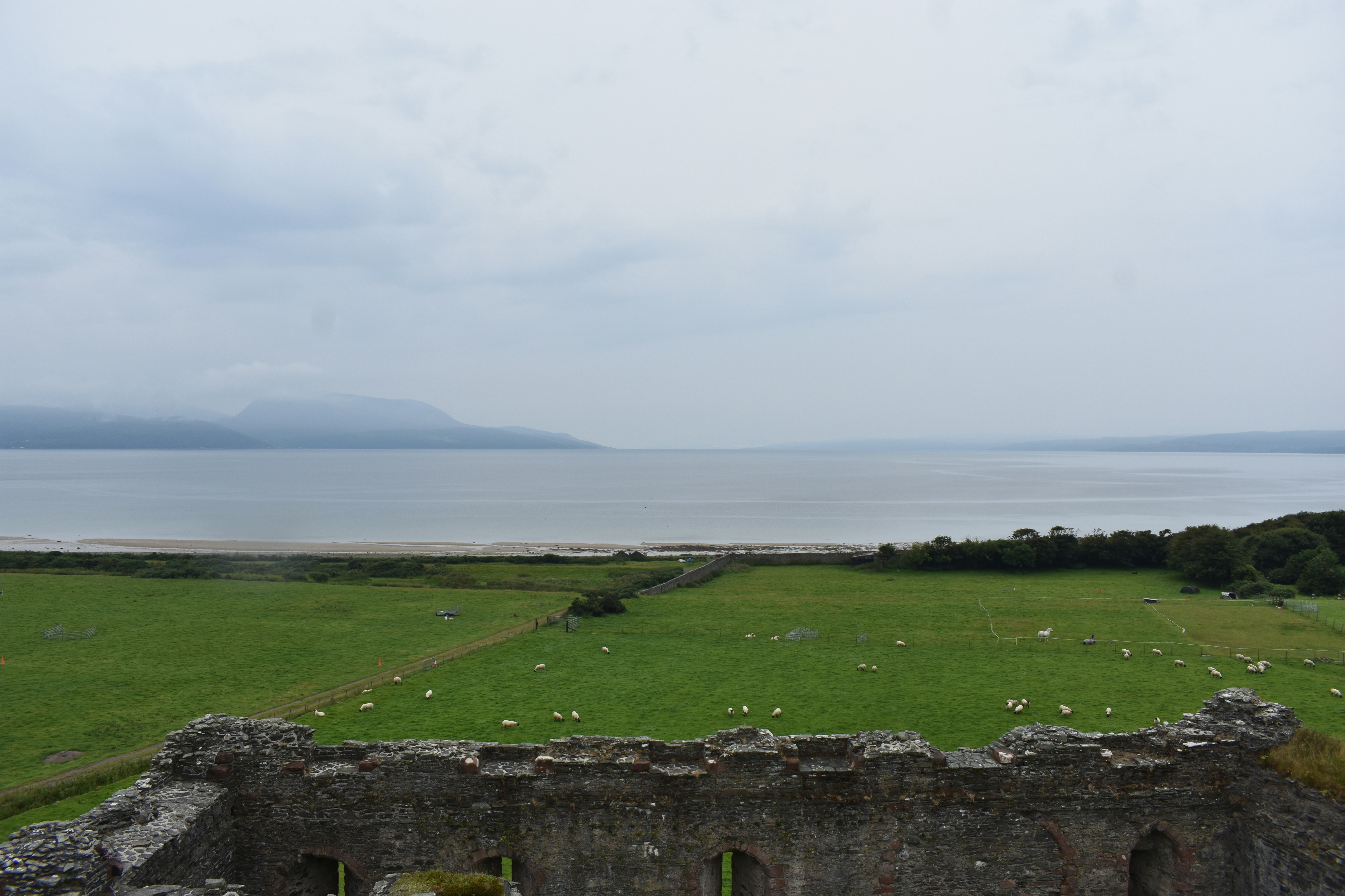 Stone Ruins Overlook a Sheep-Grazed Pasture and a Quiet Sea
