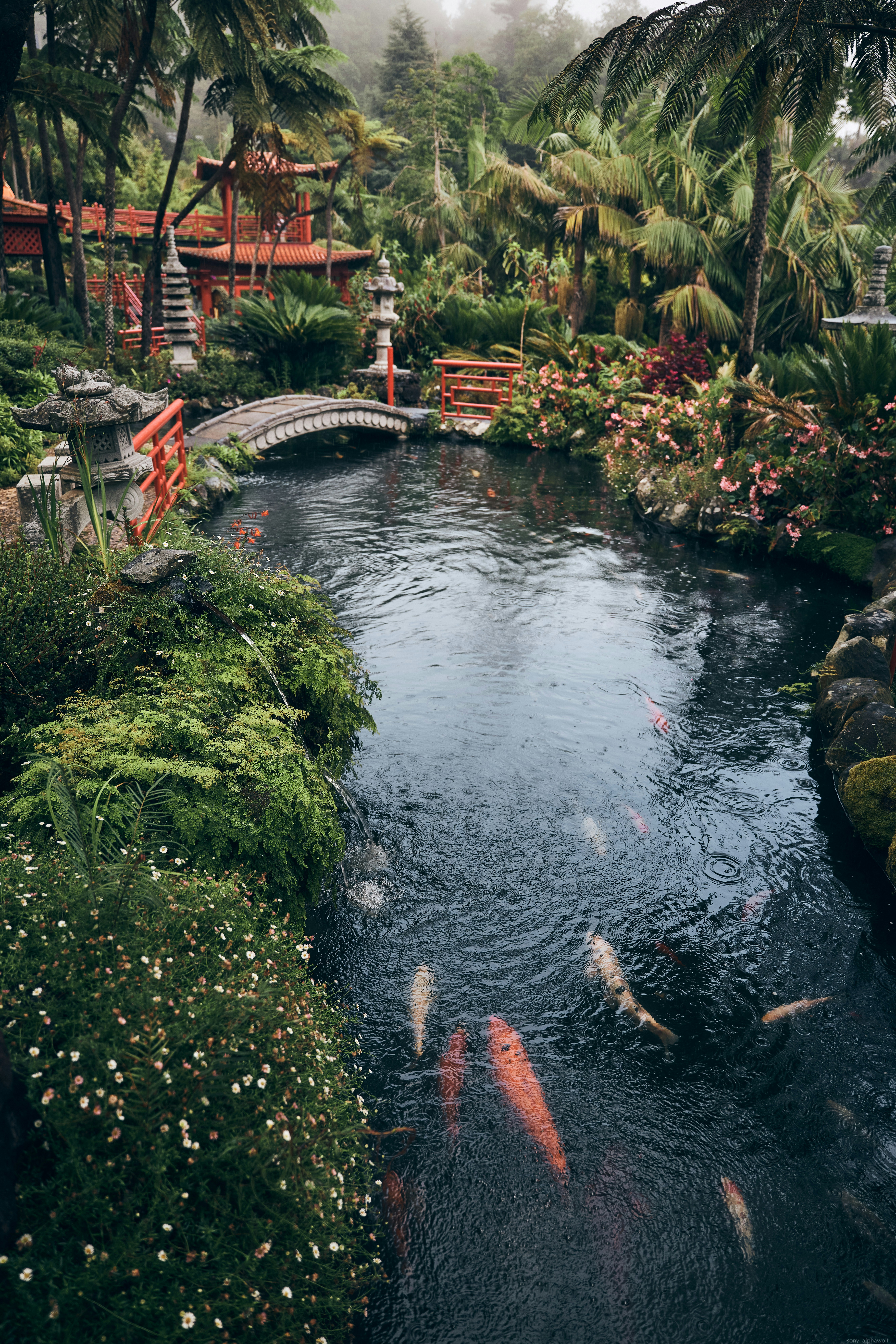 Serenity in a Hidden Oasis