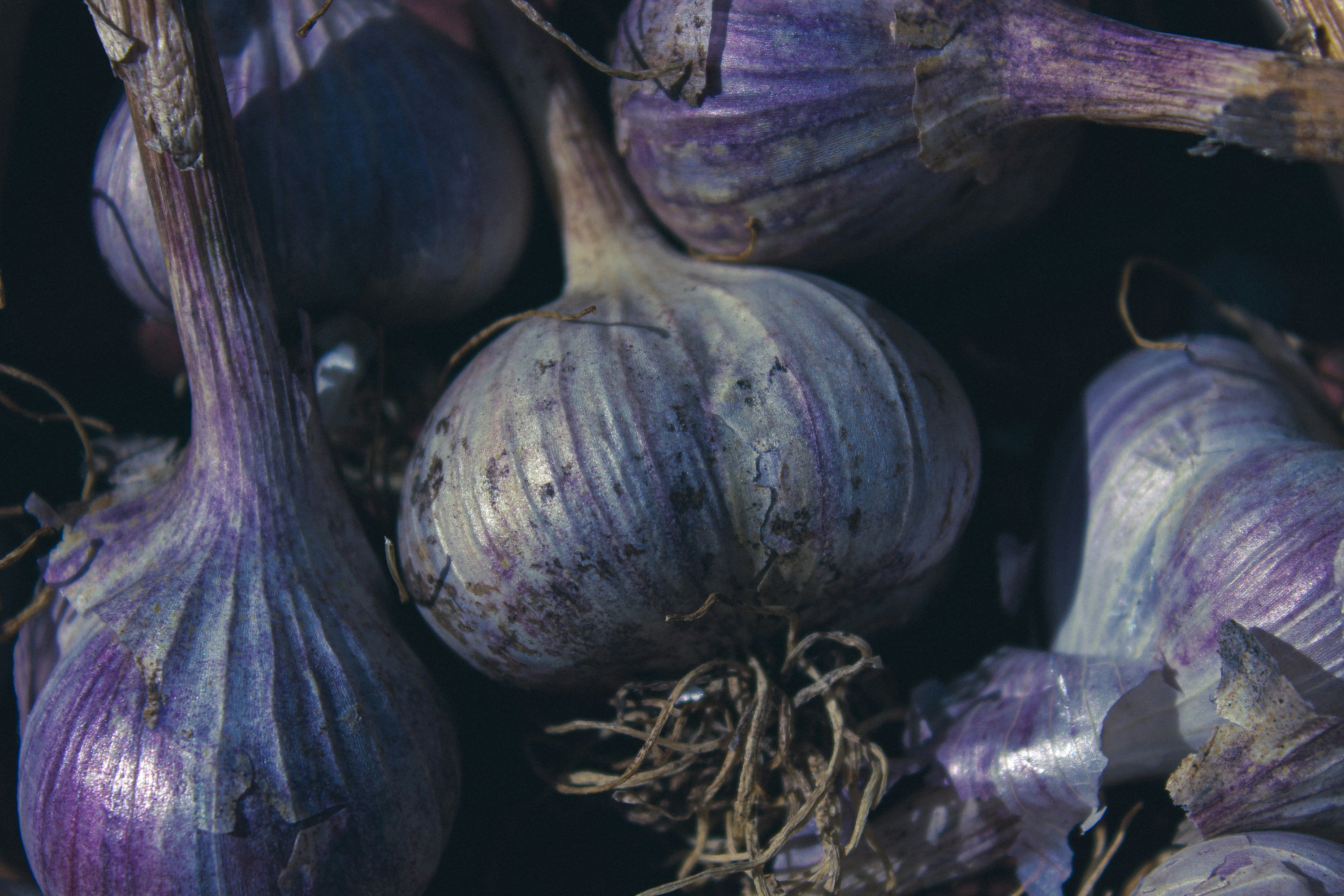 Photo by Anastasia Vikhareva with Canon EOS 600D