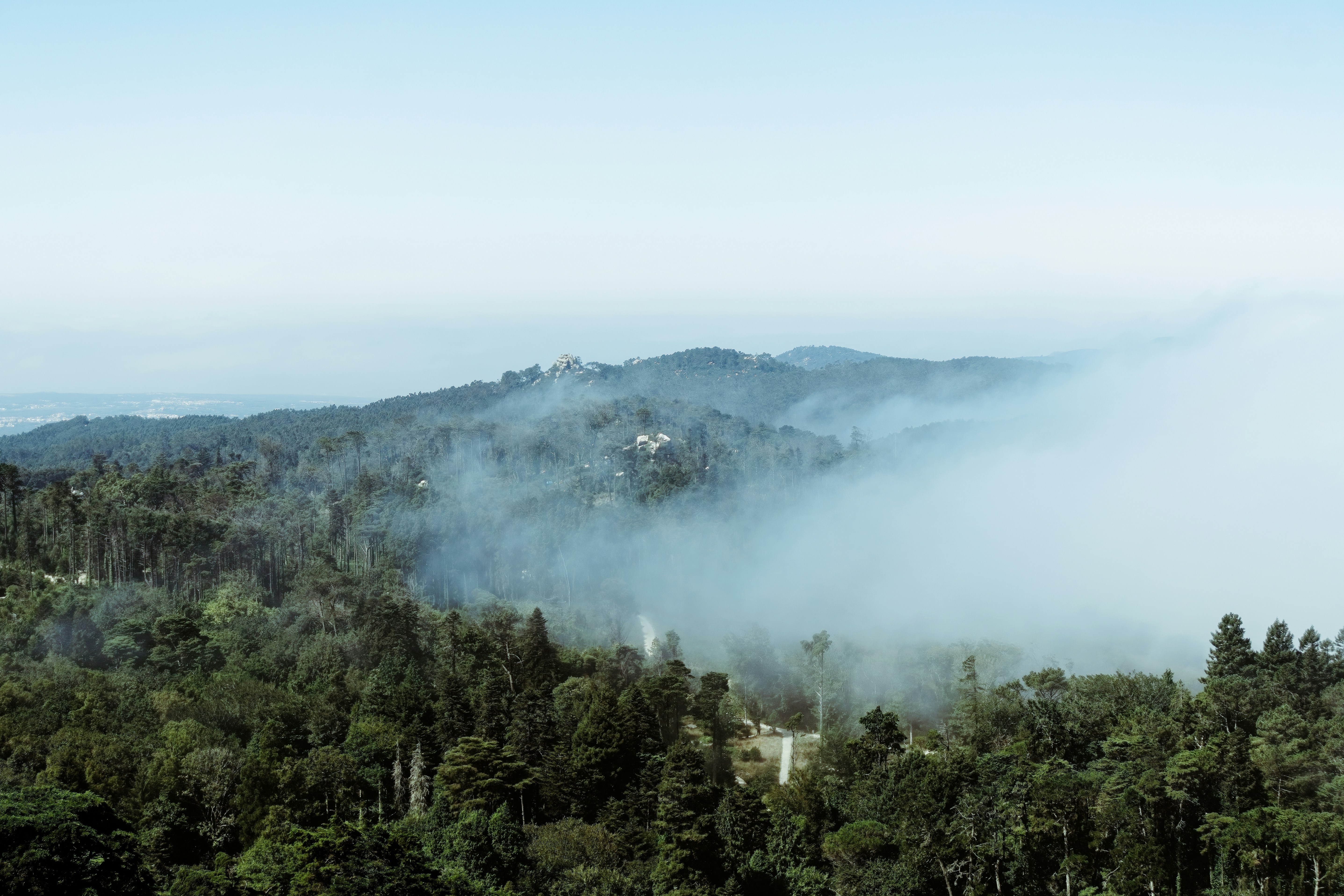 Fog drifts over a lush, green forest with distant hills under a clear blue sky.
