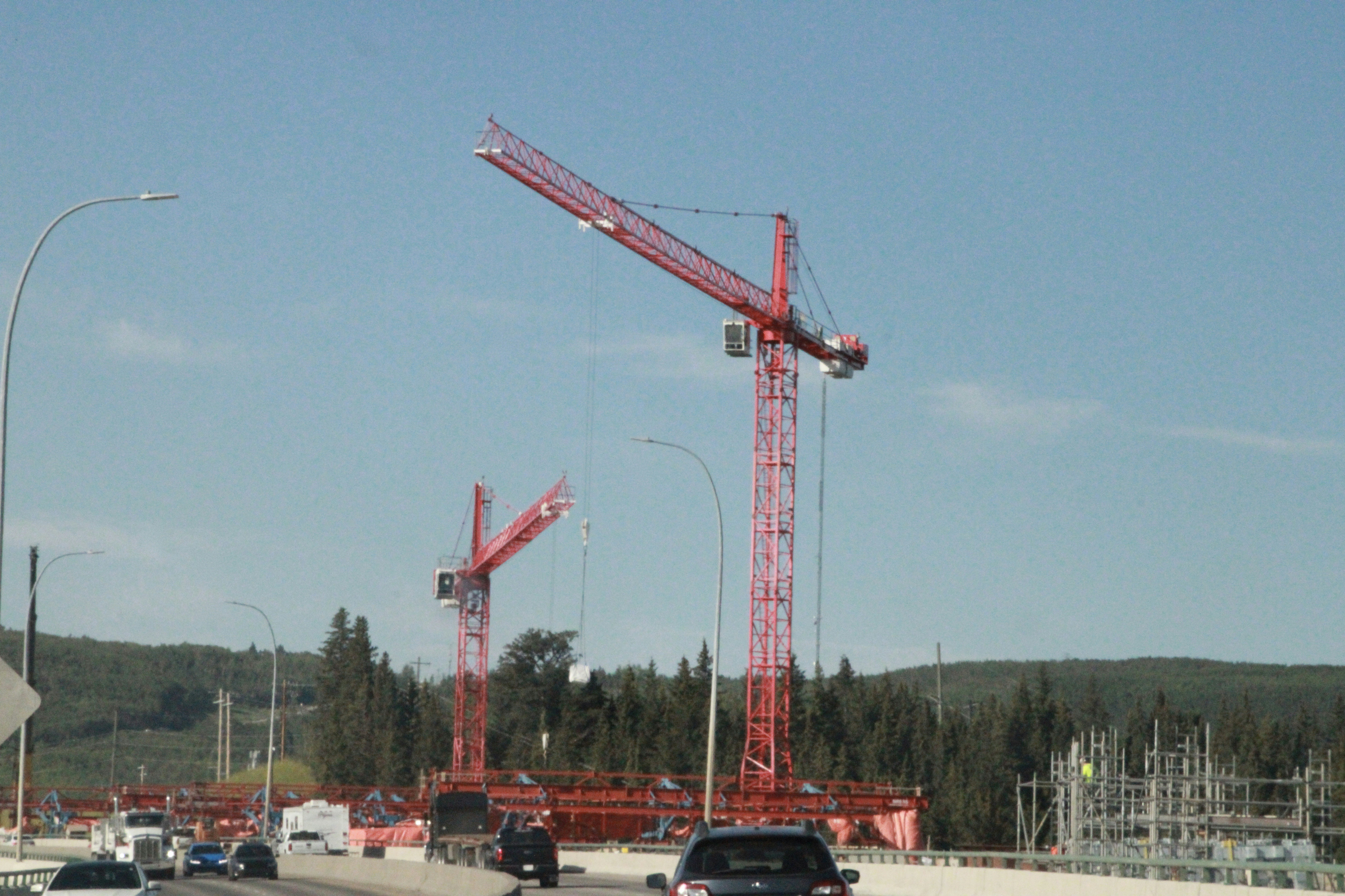 A group of red cranes photo – Free Calgary Image on Unsplash