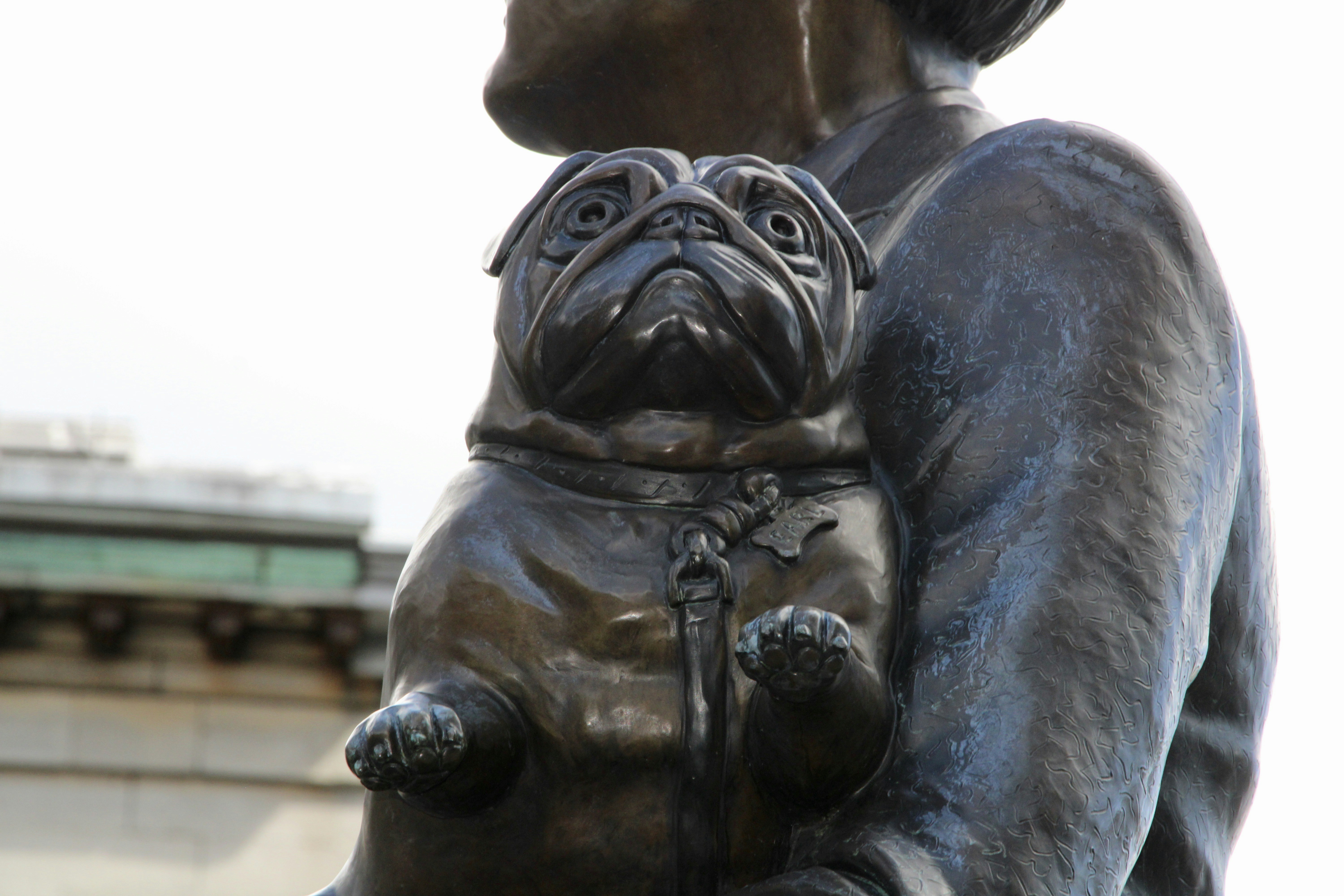 Bronze Bond: A Pug in the Arm of the Statue