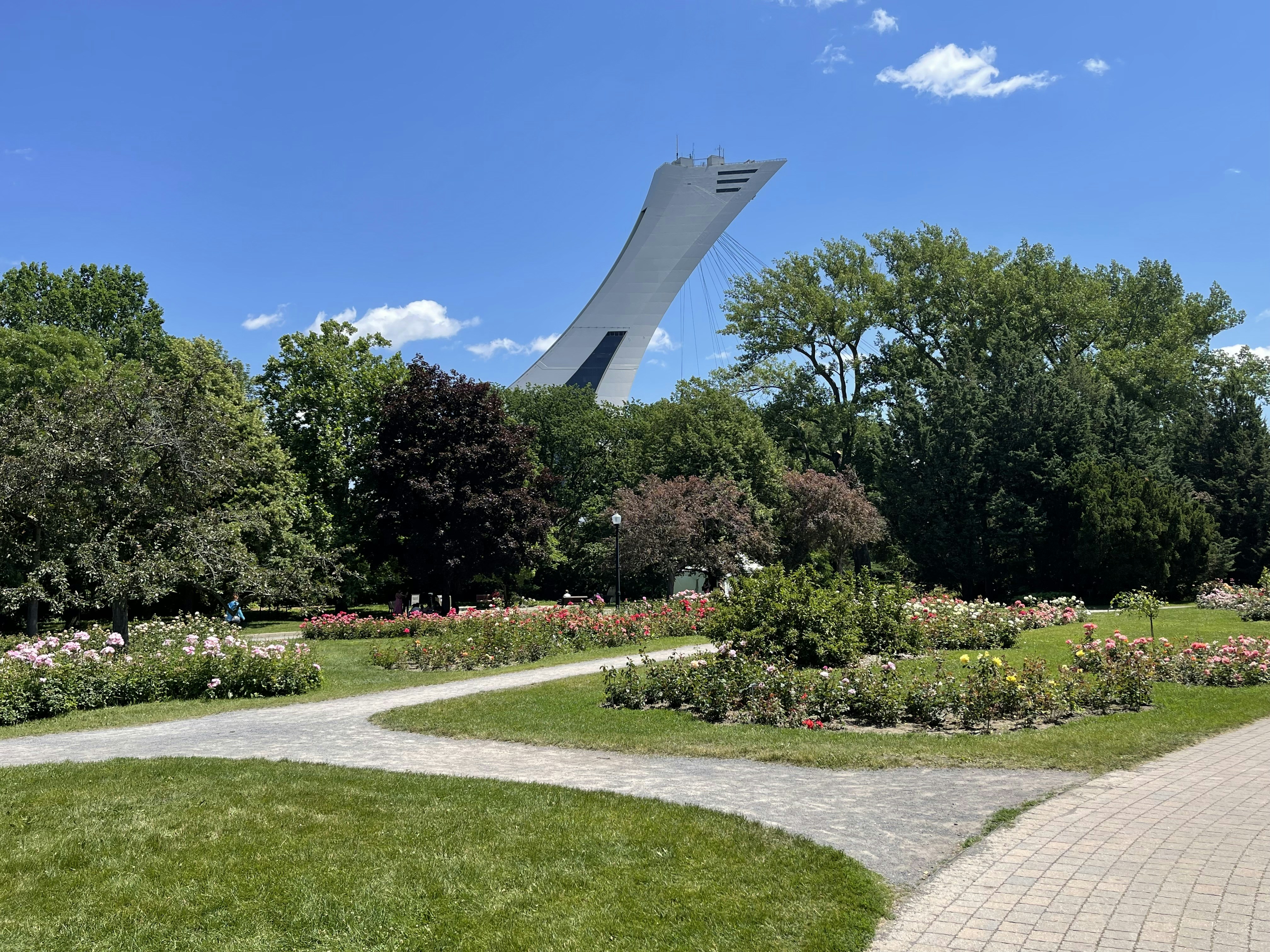 Andre Machado (@andresmachado_) | Comunidade de fotos da Unsplash