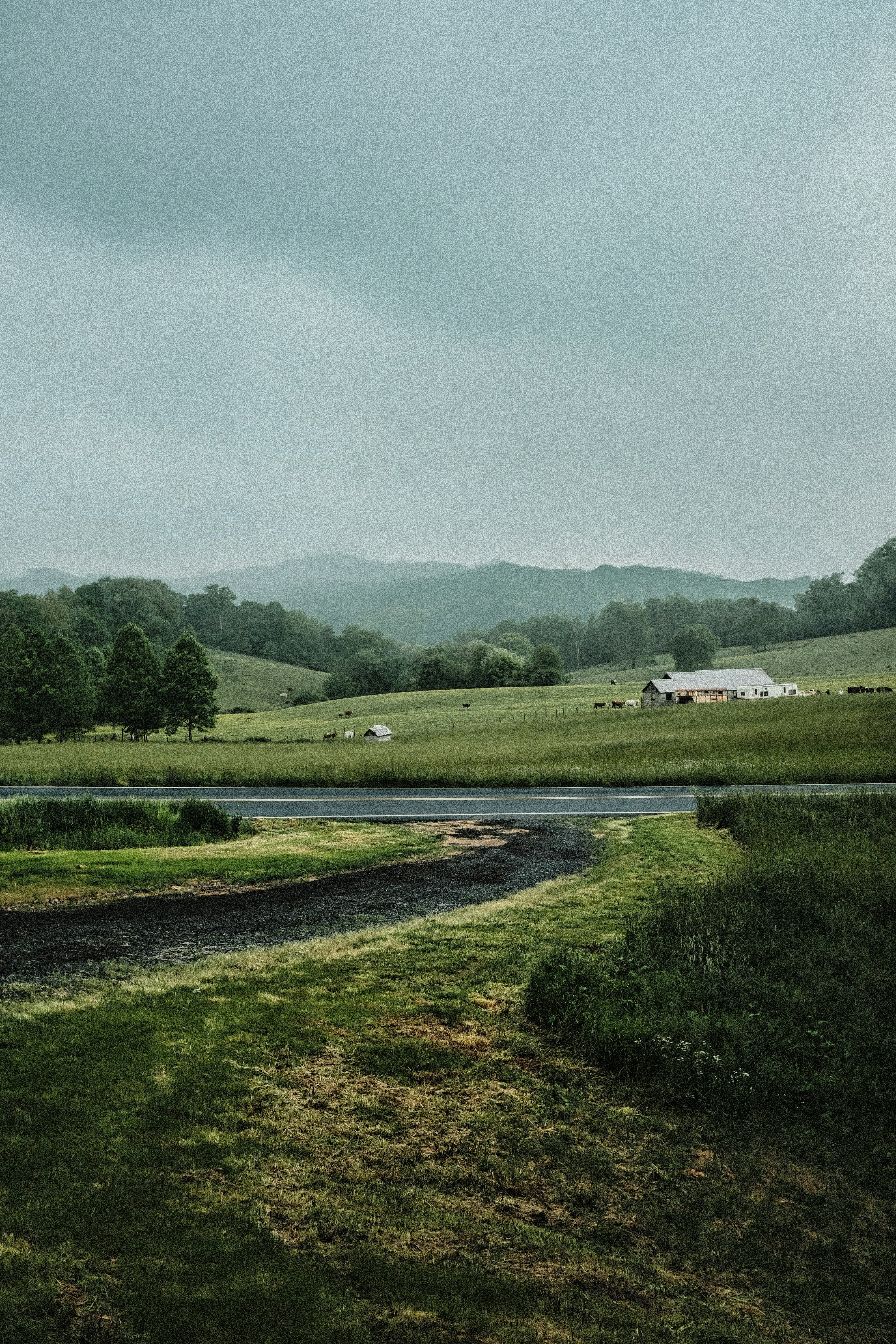 Nicholas Buttrey (@sexcskittles) | Unsplash Photo Community