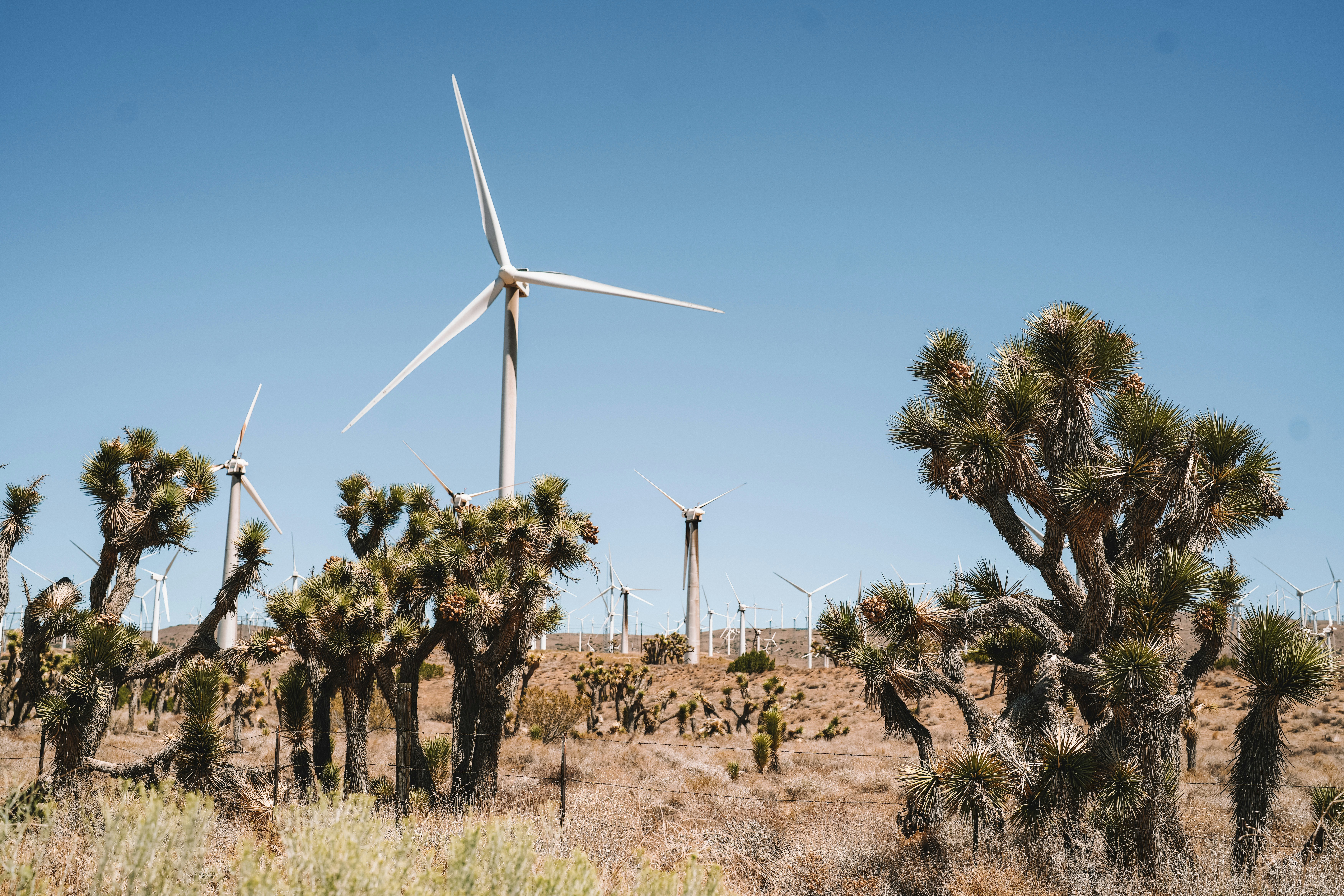 A group of wind turbines in a field photo – Free Mojave Image on Unsplash