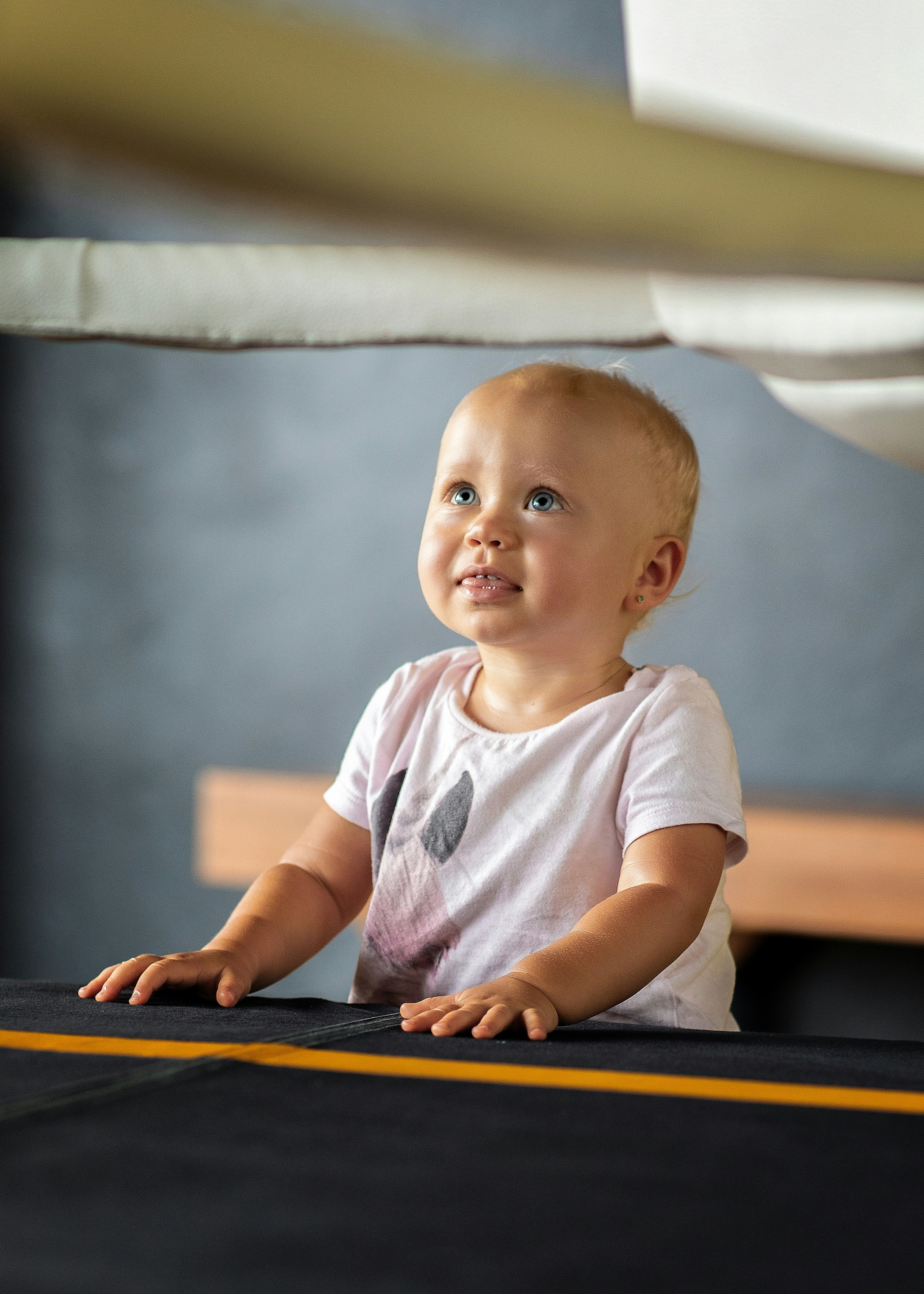 Curious gaze under the canopy of a trampoline frame