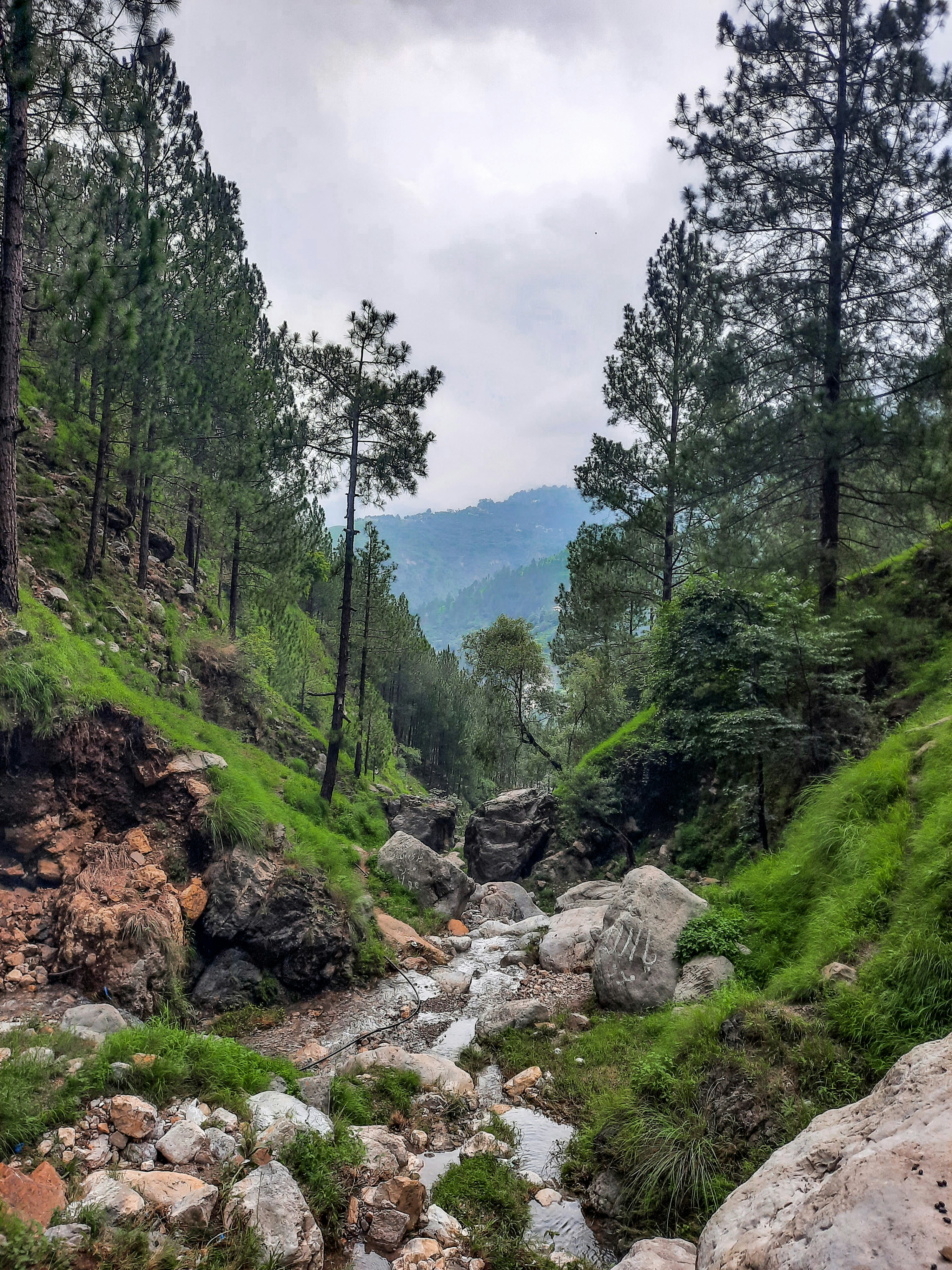 Fazal Khaliq (@withfazal) | Unsplash Photo Community