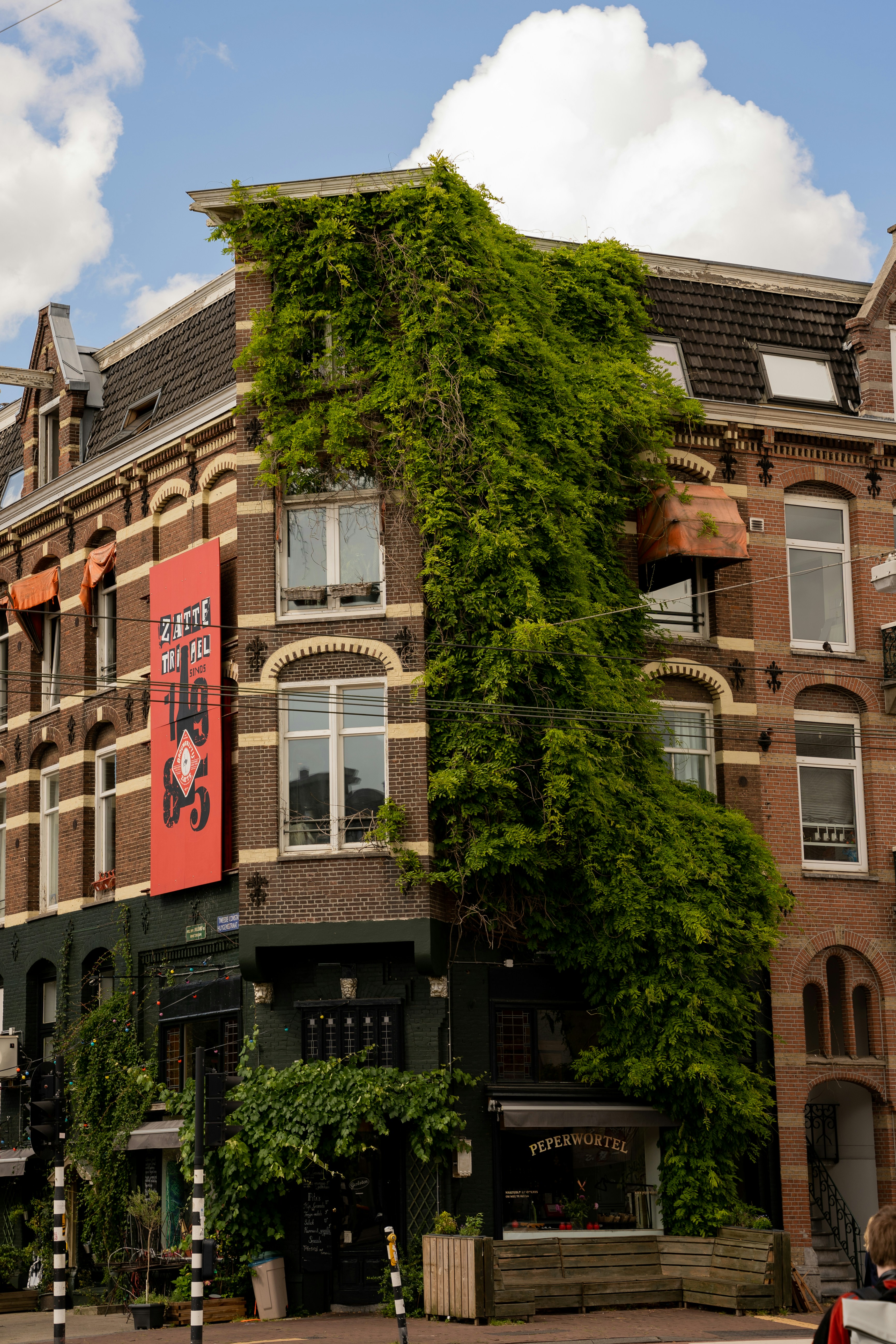 Ivy's Veil on a Brick Corner: An Urban Portrait