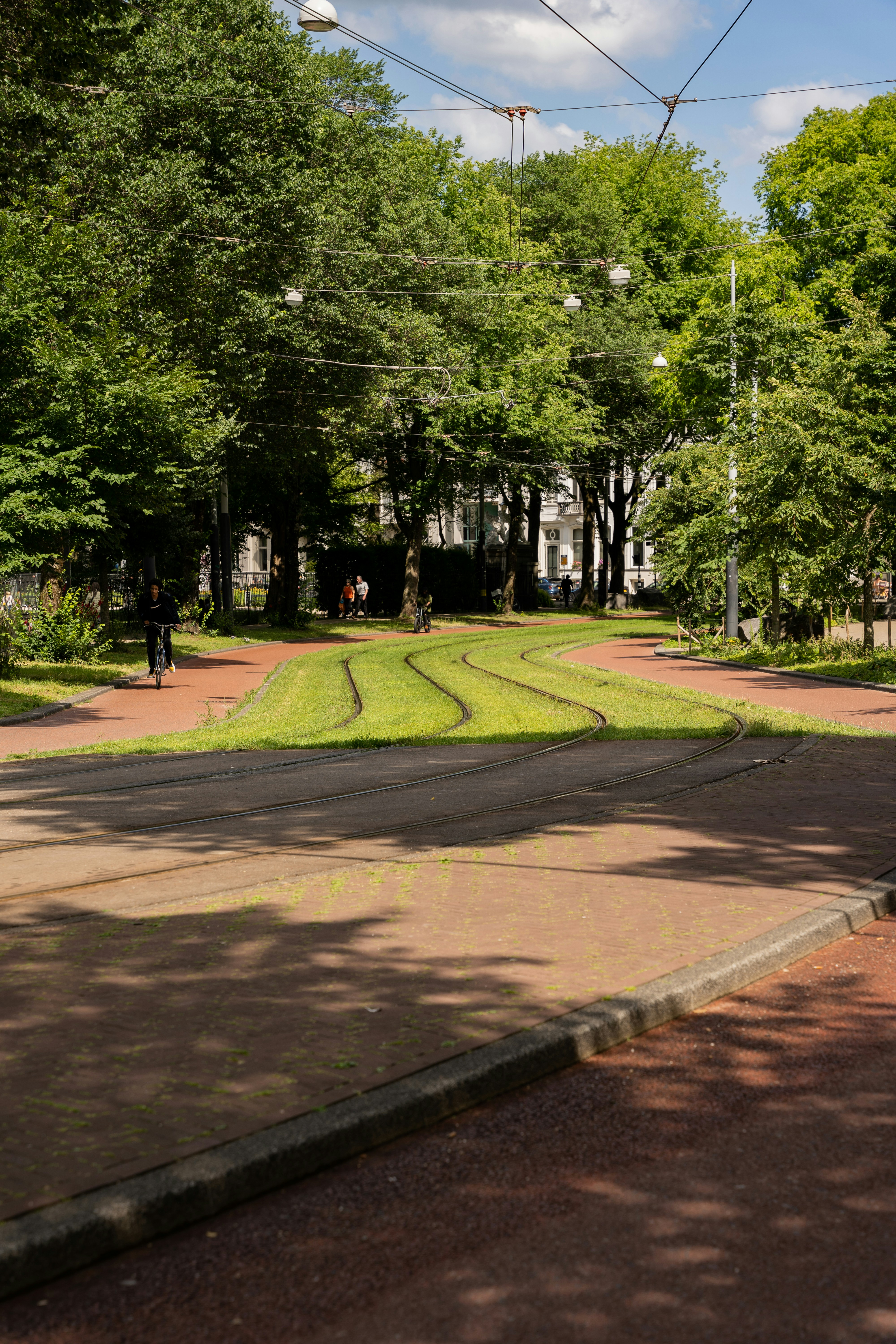 a person riding a bicycle on a street with trees and buildings