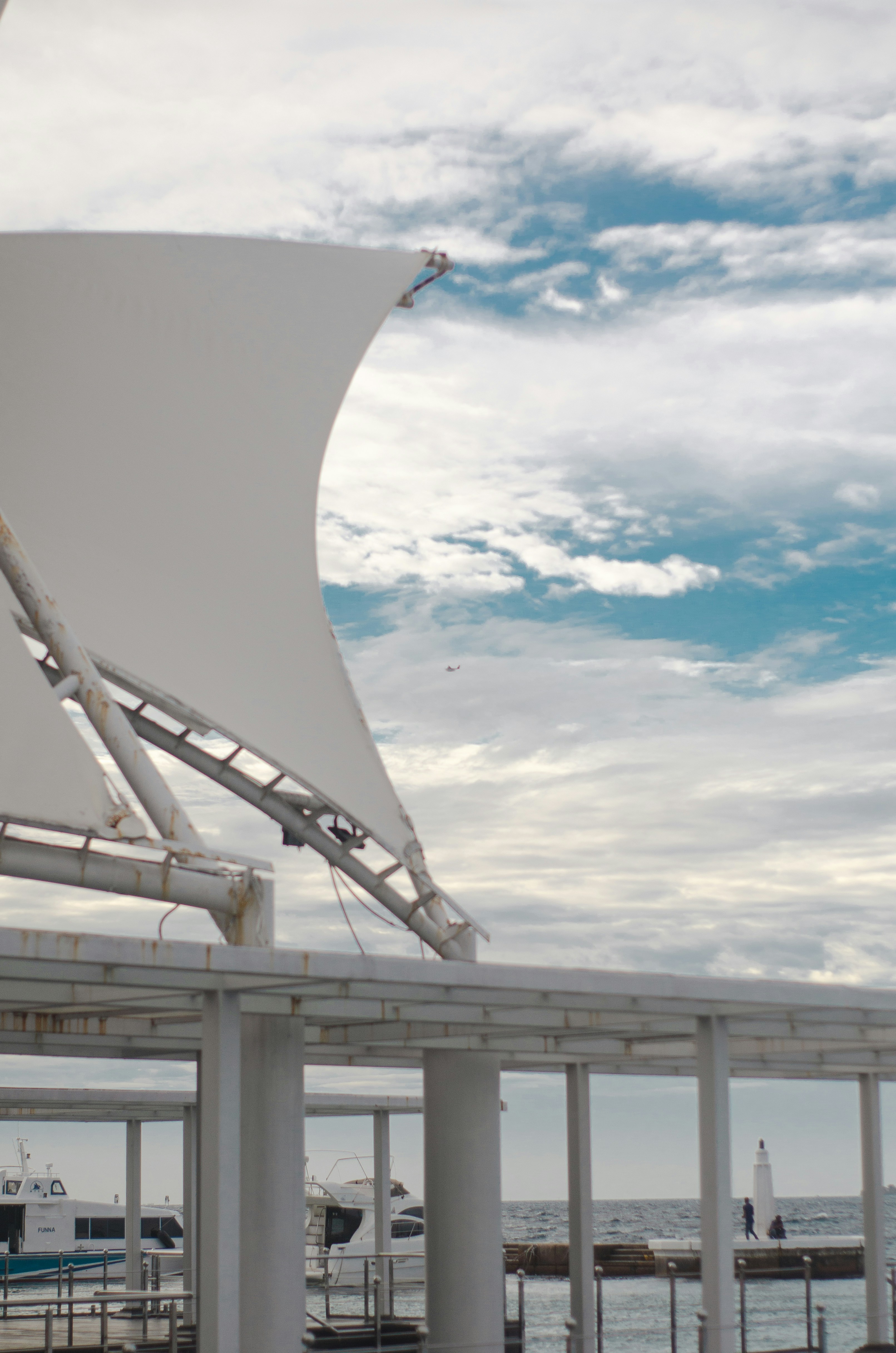 Harbor Acrobat: Perched on a Sail Canopy Over Calm Waters