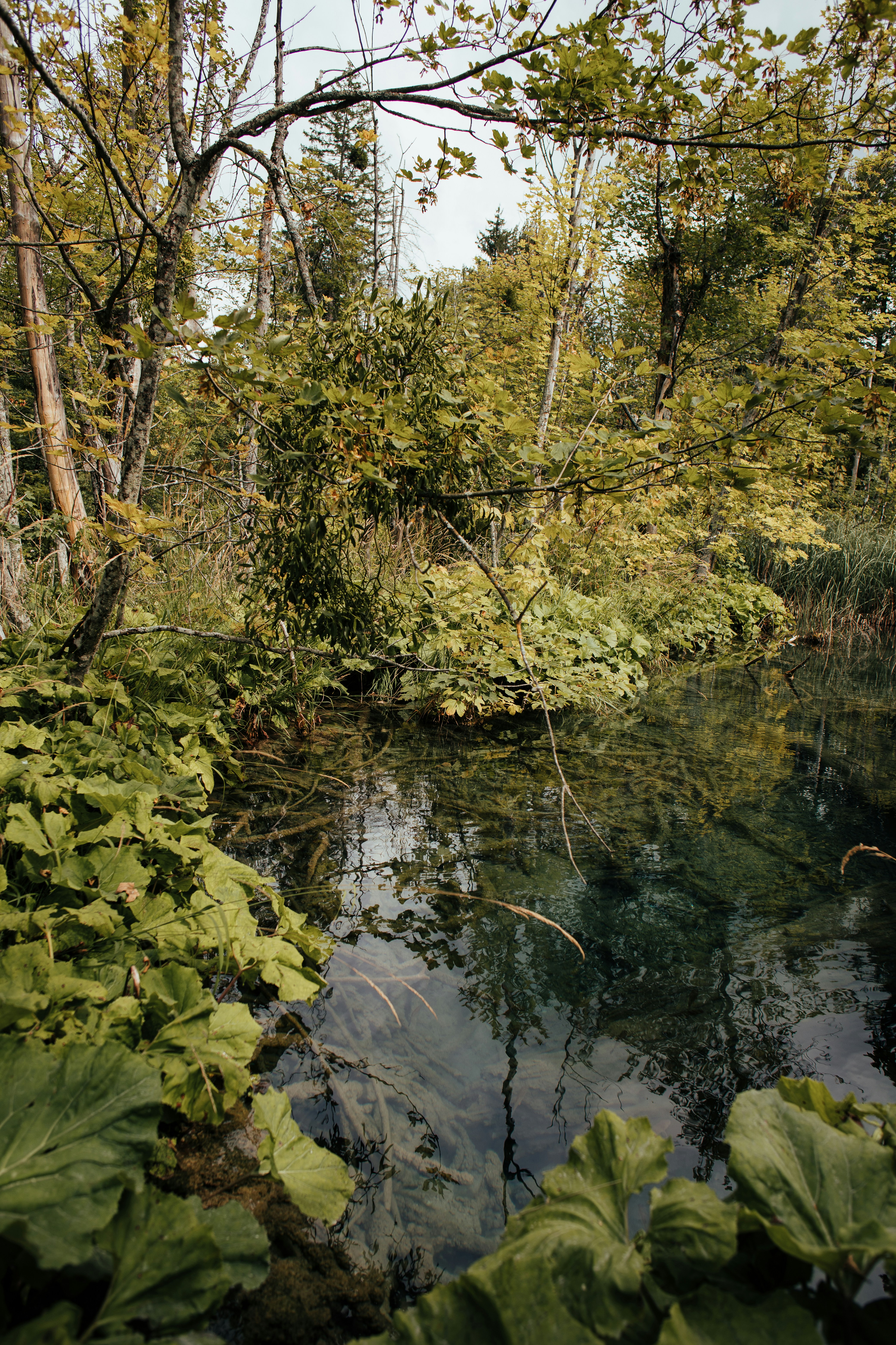 Plitvice Lakes National Park 