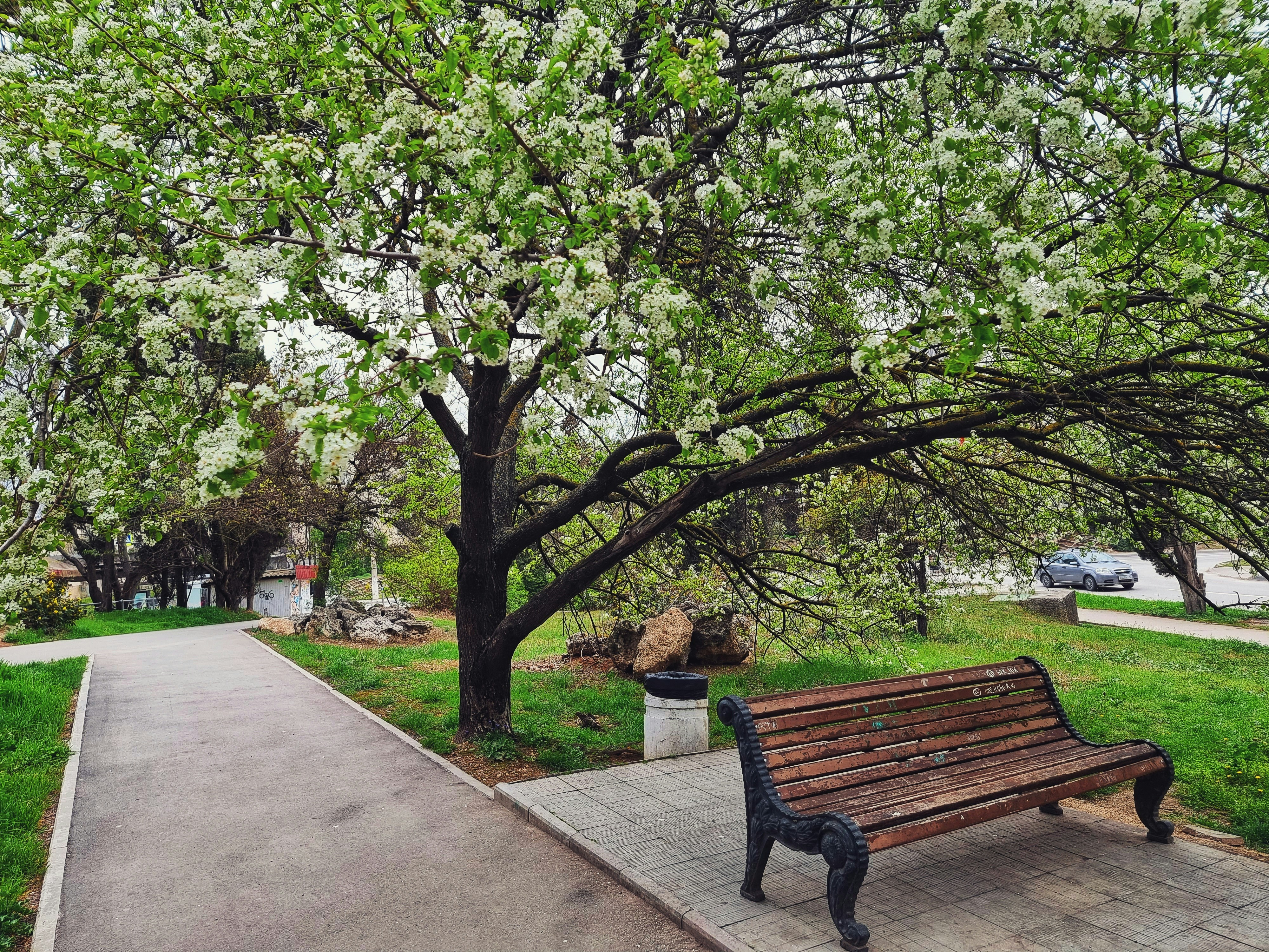 Photo by Konstantin Dyadyun with Samsung Galaxy S21 Ultra