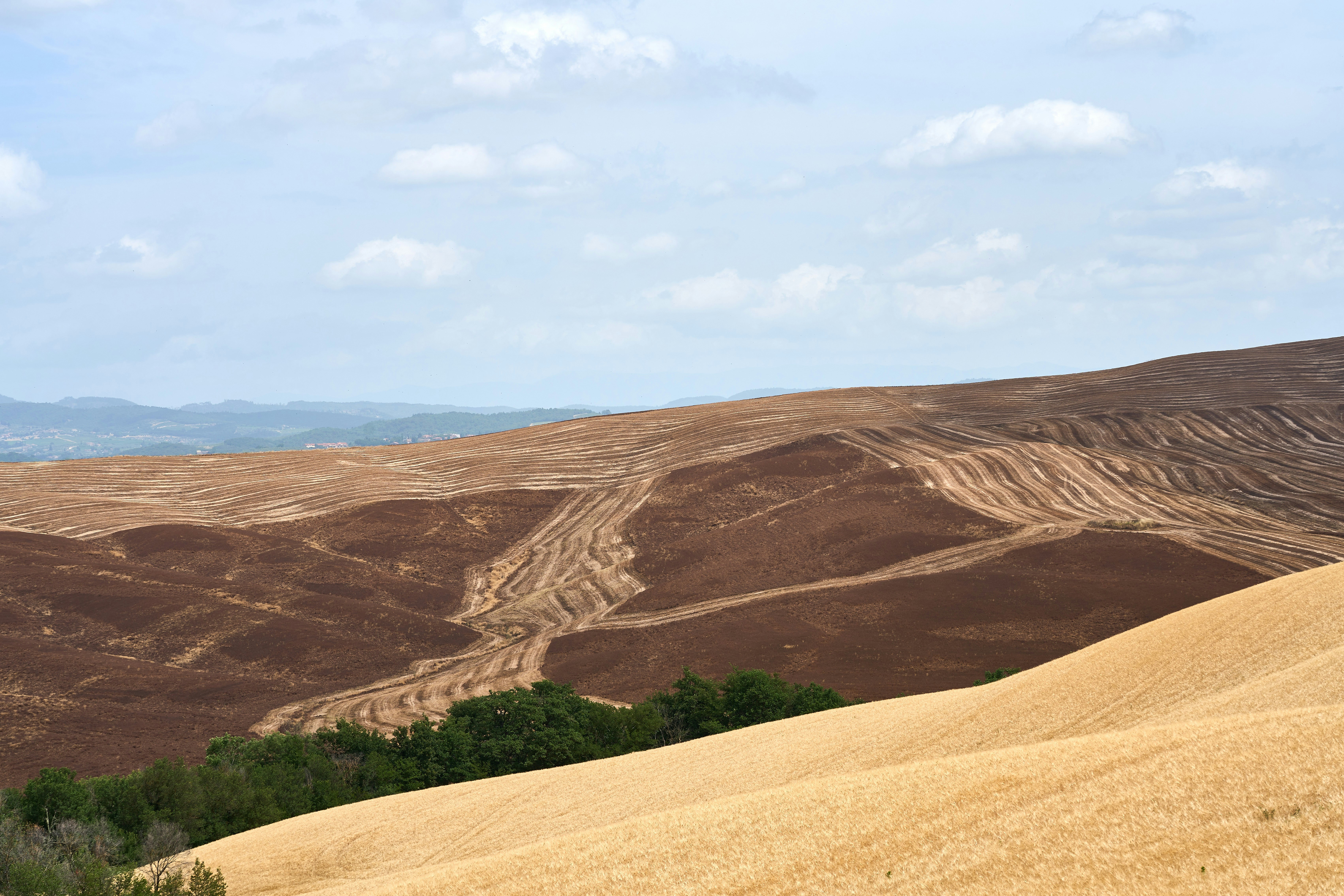 A large desert landscape photo – Free Soil Image on Unsplash