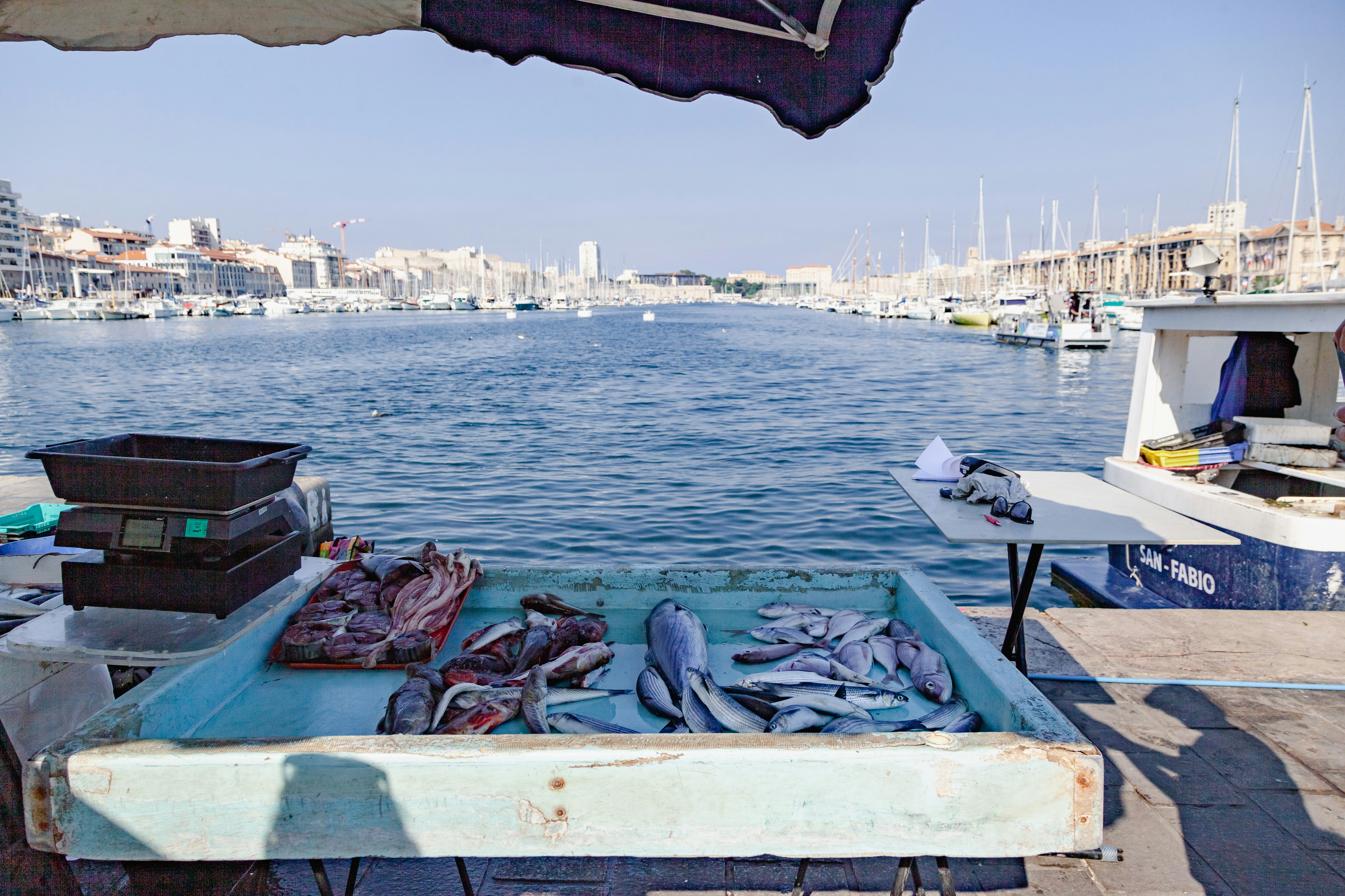 Crates of the Catch: Sunlit Harborside Market
