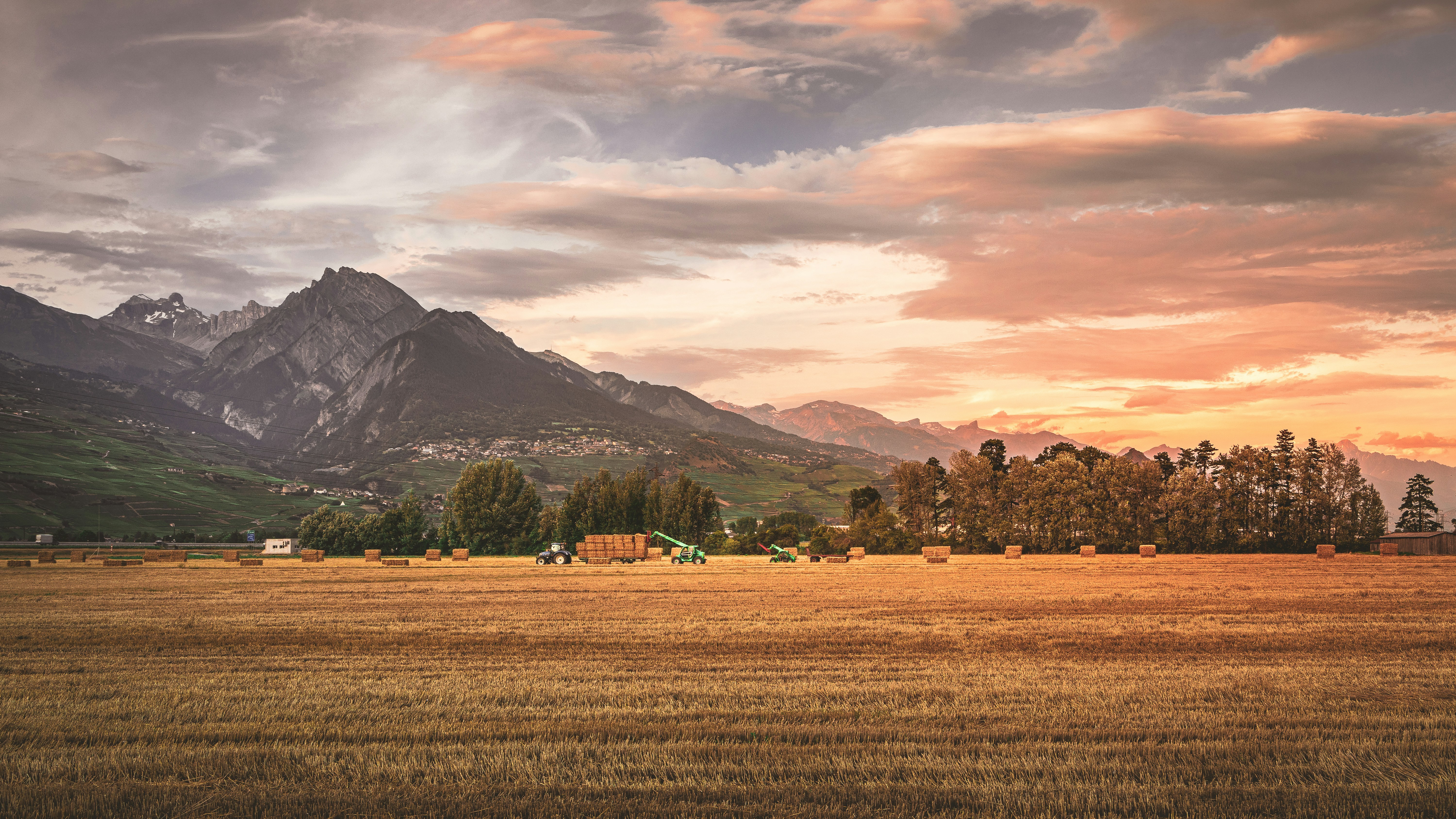 Foto zum Thema Ein großes Feld mit Bergen im Hintergrund – Kostenloses ...