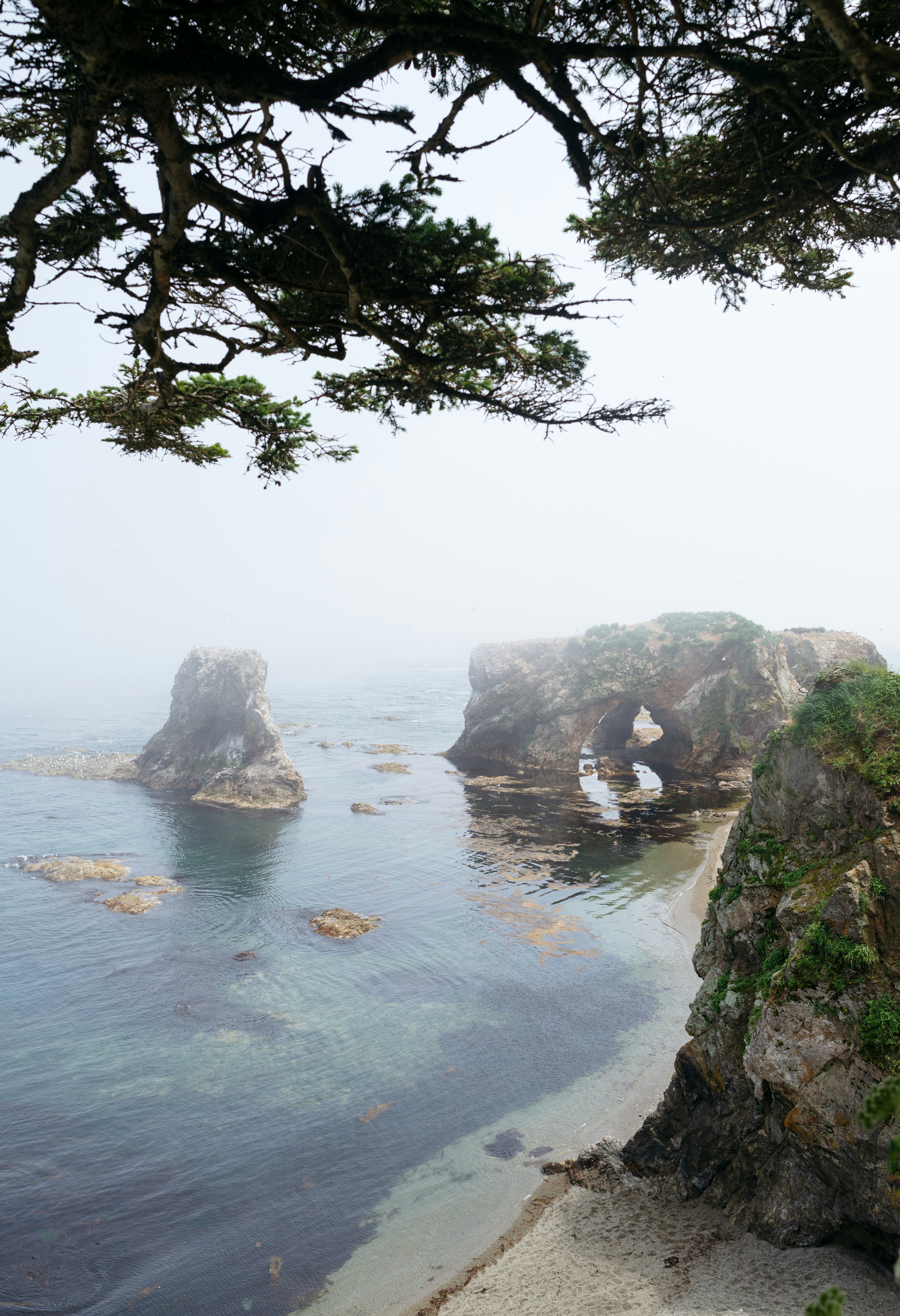 A beach with rocks and trees photo – Free Sakhalin oblast Image on Unsplash
